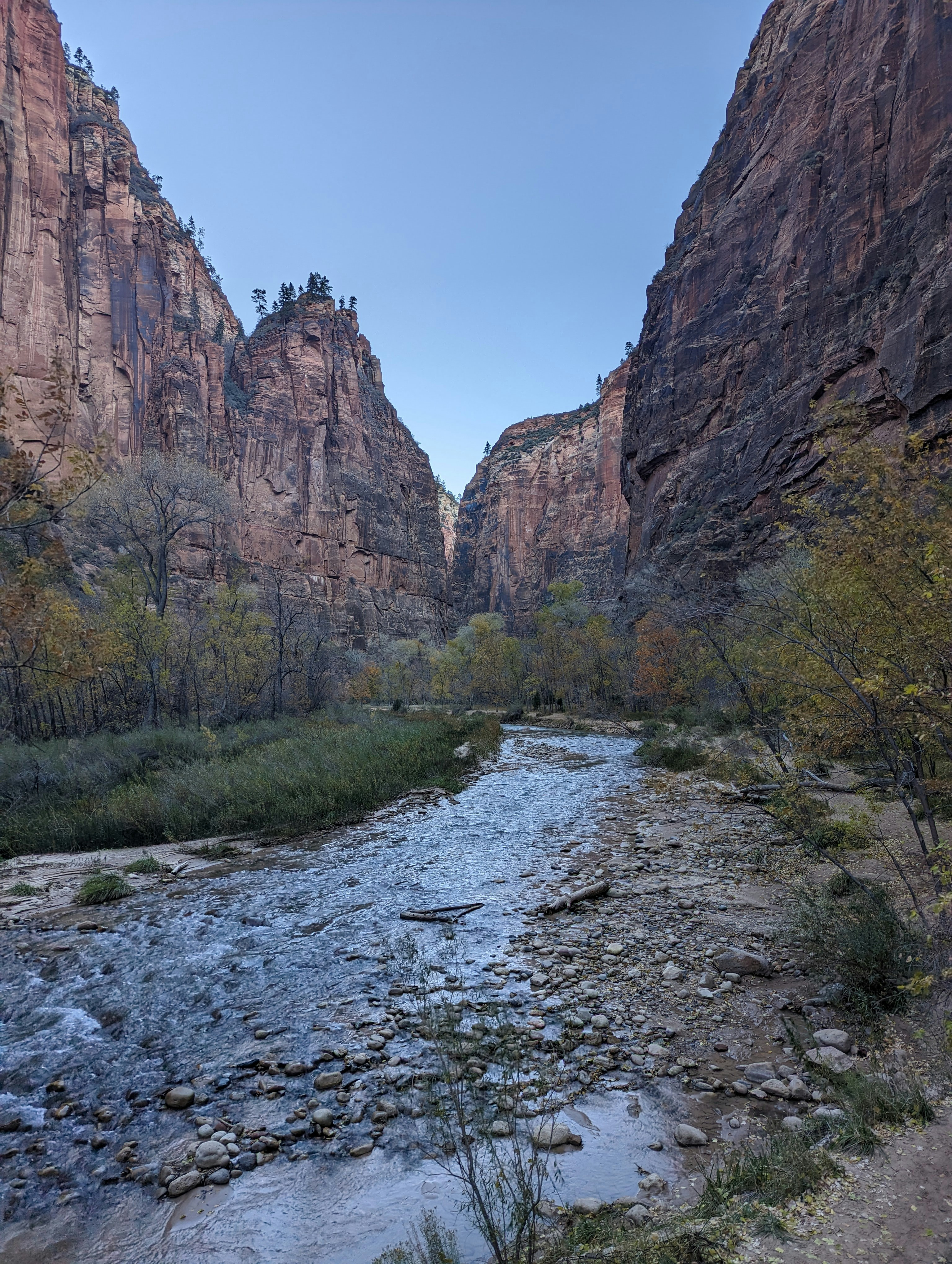 Anthony Saccomanno (@asaccomanno) | Unsplash Photo Community