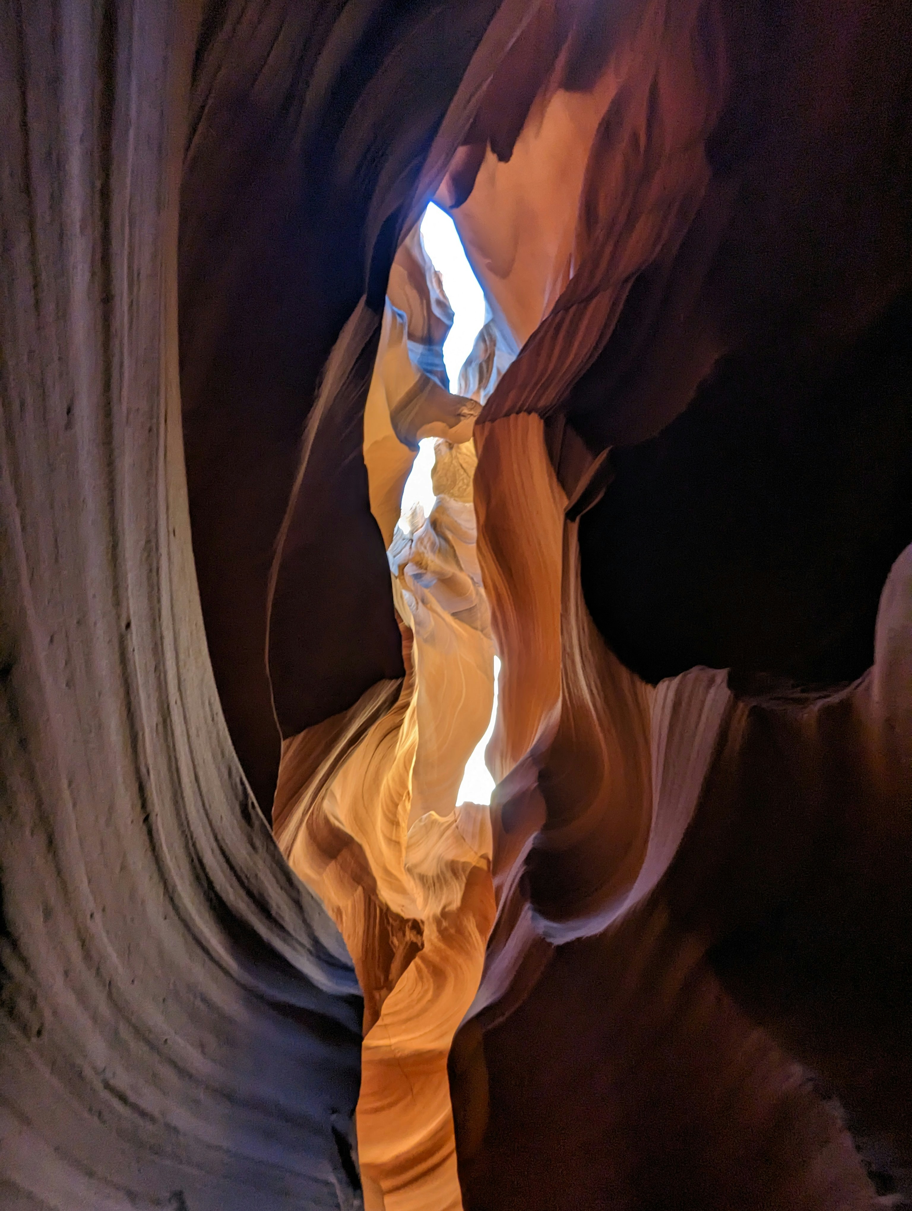 Anthony Saccomanno (@asaccomanno) | Unsplash Photo Community