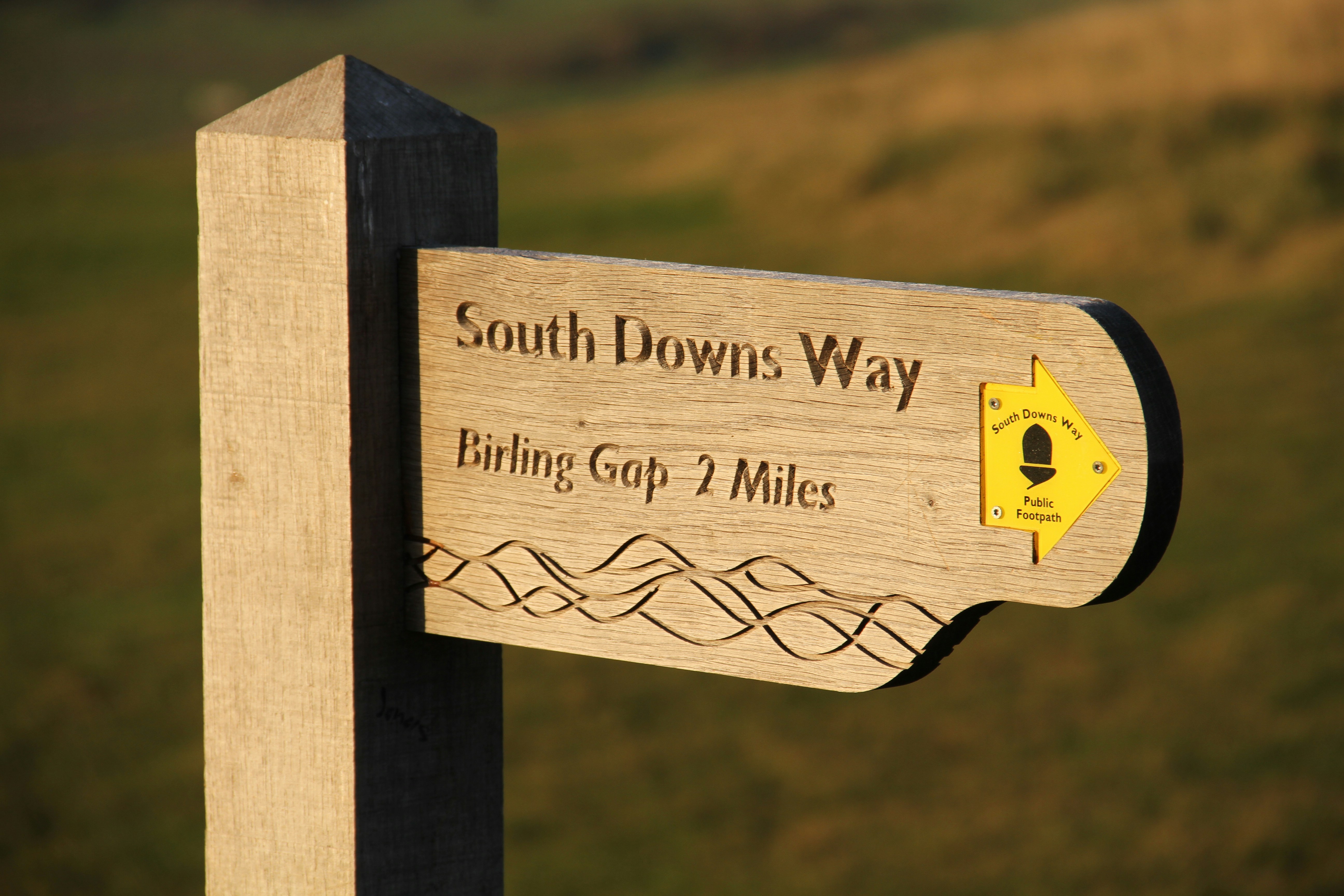 South Downs Way: Signpost Guiding the Winding Trail
