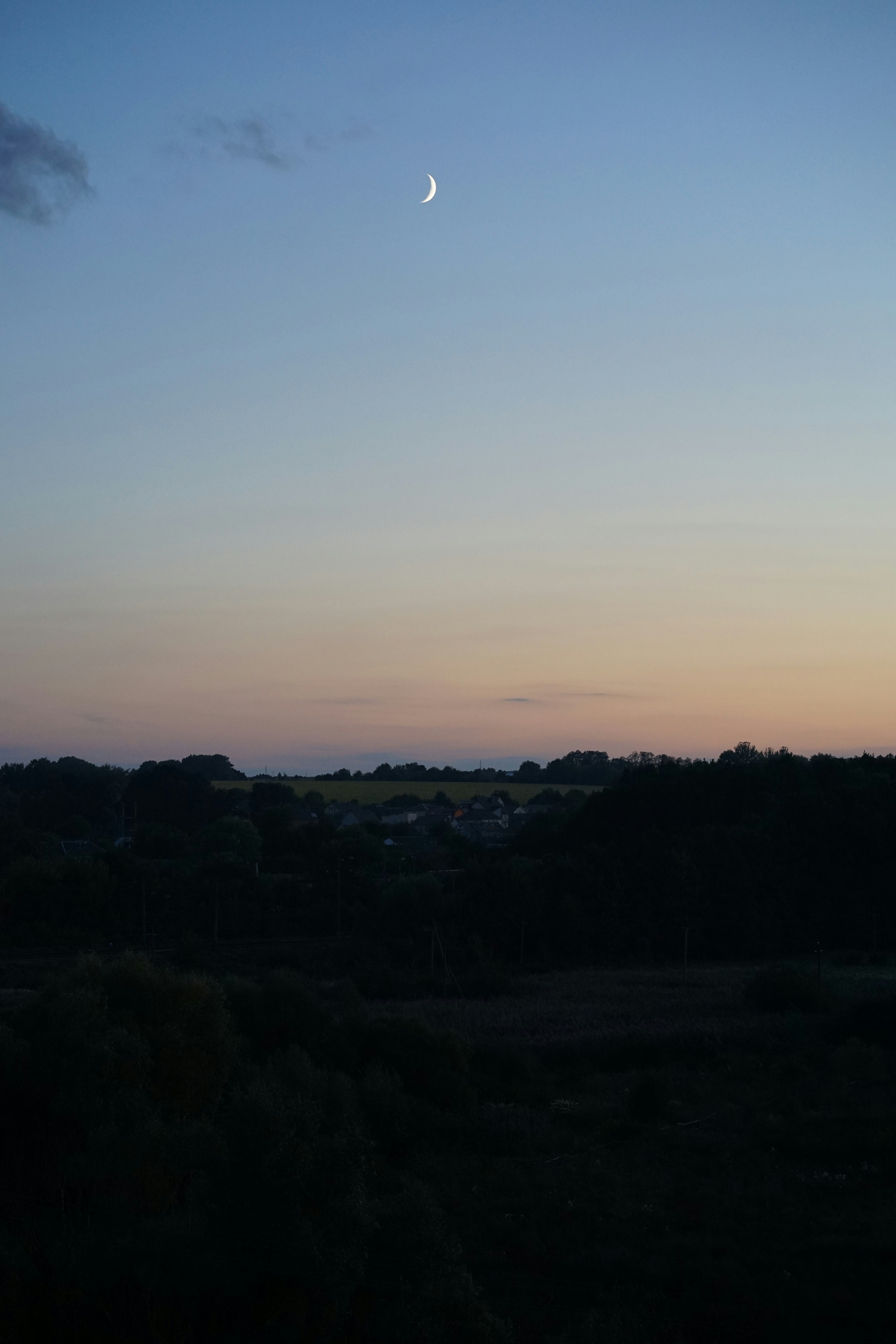 Photo by Tanya Lisova with Sony Alpha 7 II