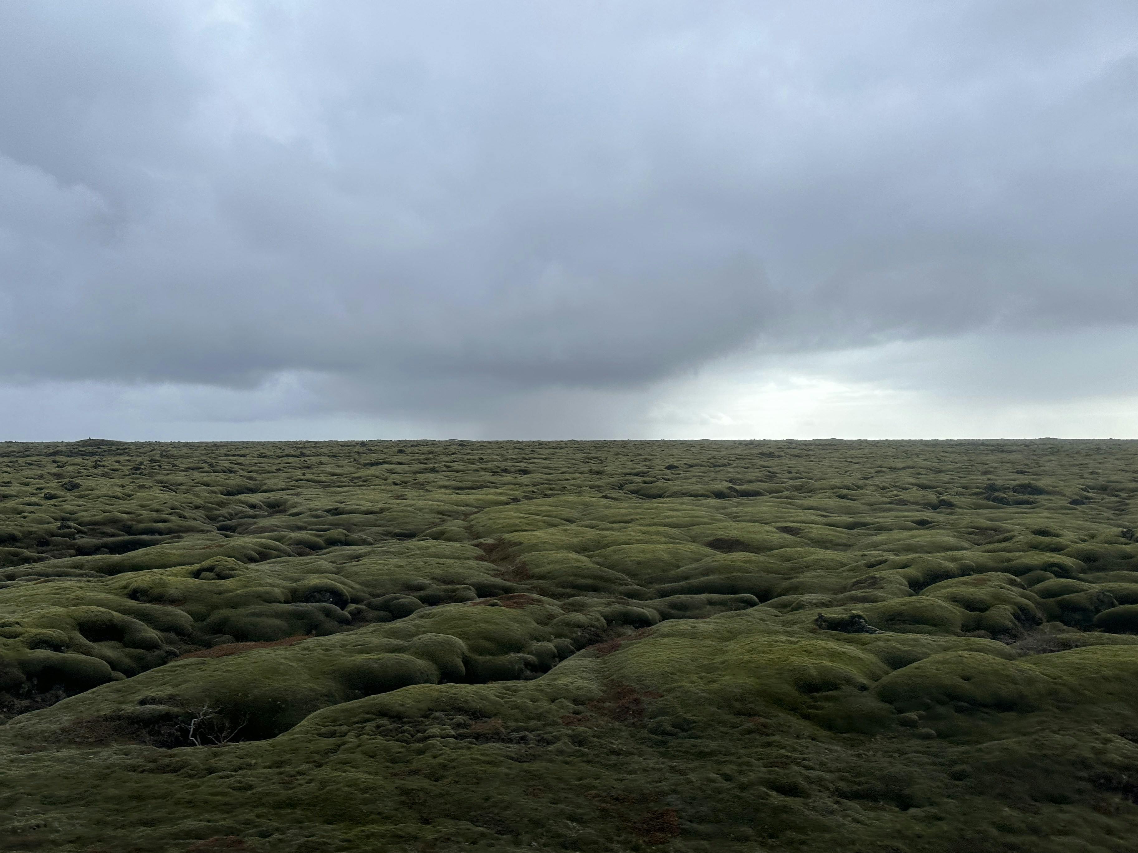Ein großes Feld mit grünem Gras unter einem bewölkten Himmel Foto ...