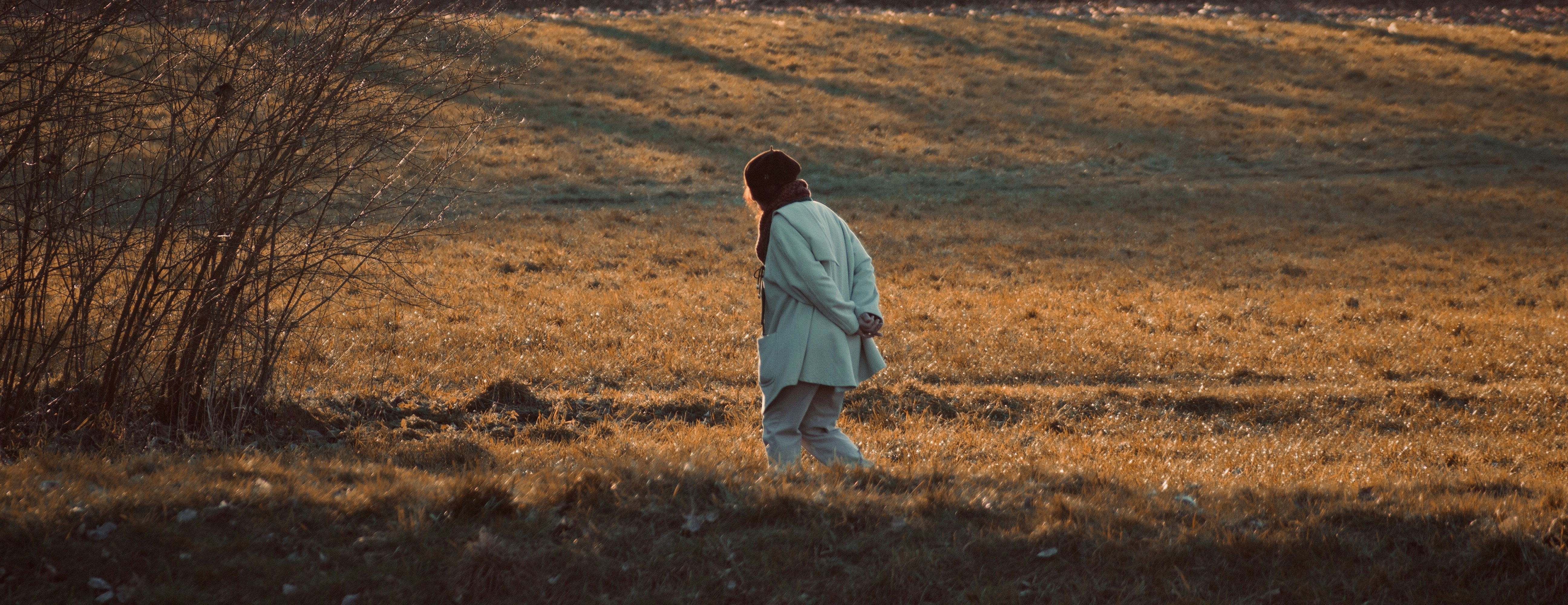 Person walking through a sunlit field with hands behind their back.