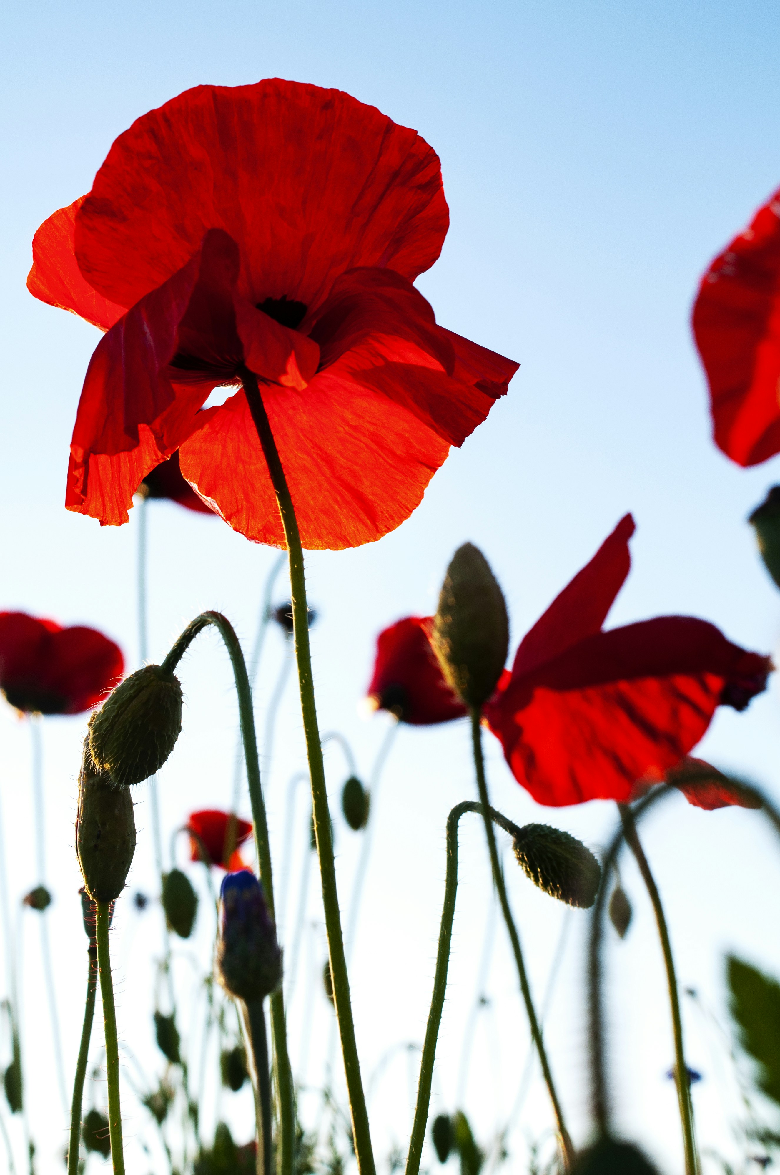 Na visky (@navisky) | Communauté photos Unsplash