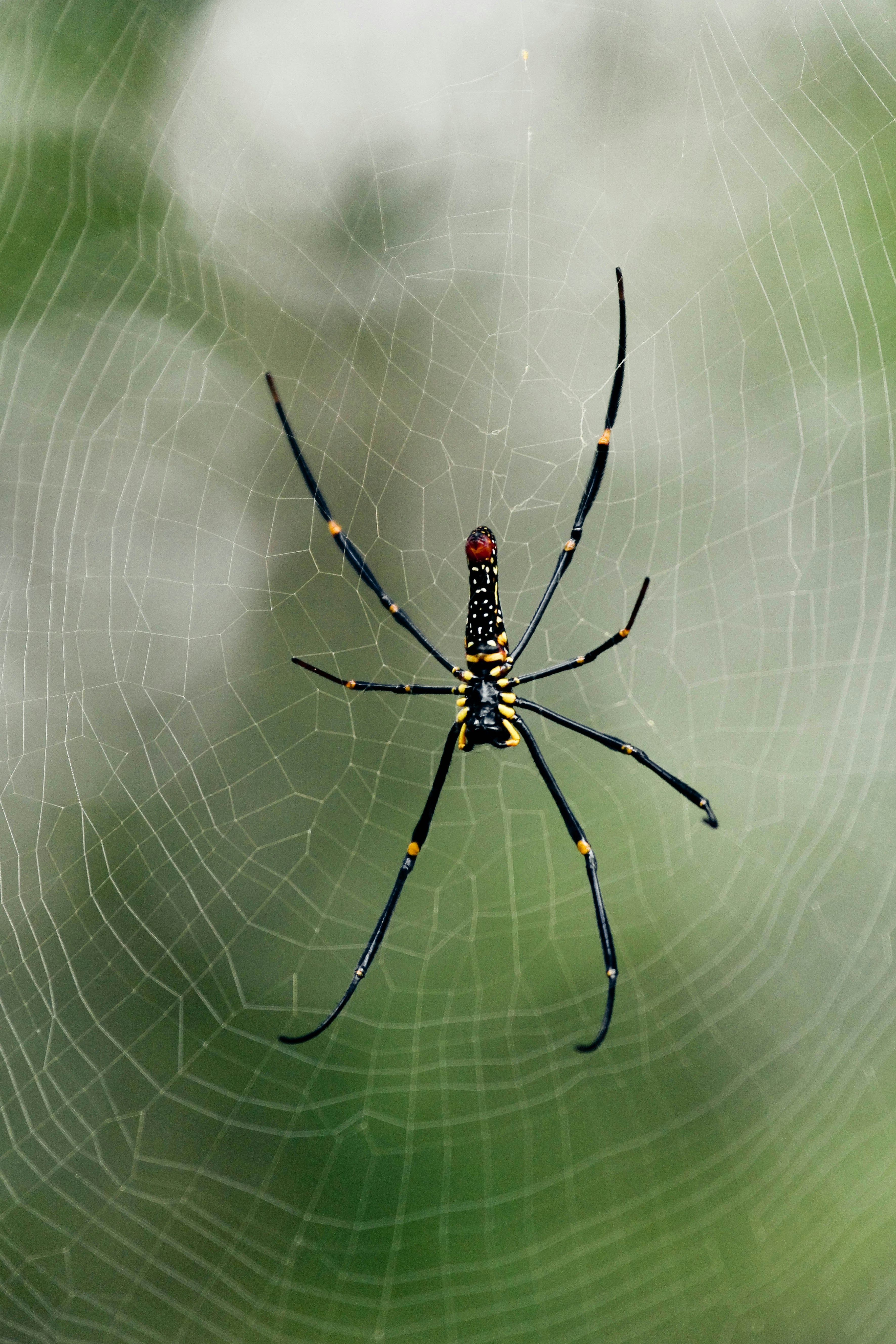 Photo by Dong with Canon EOS 650D