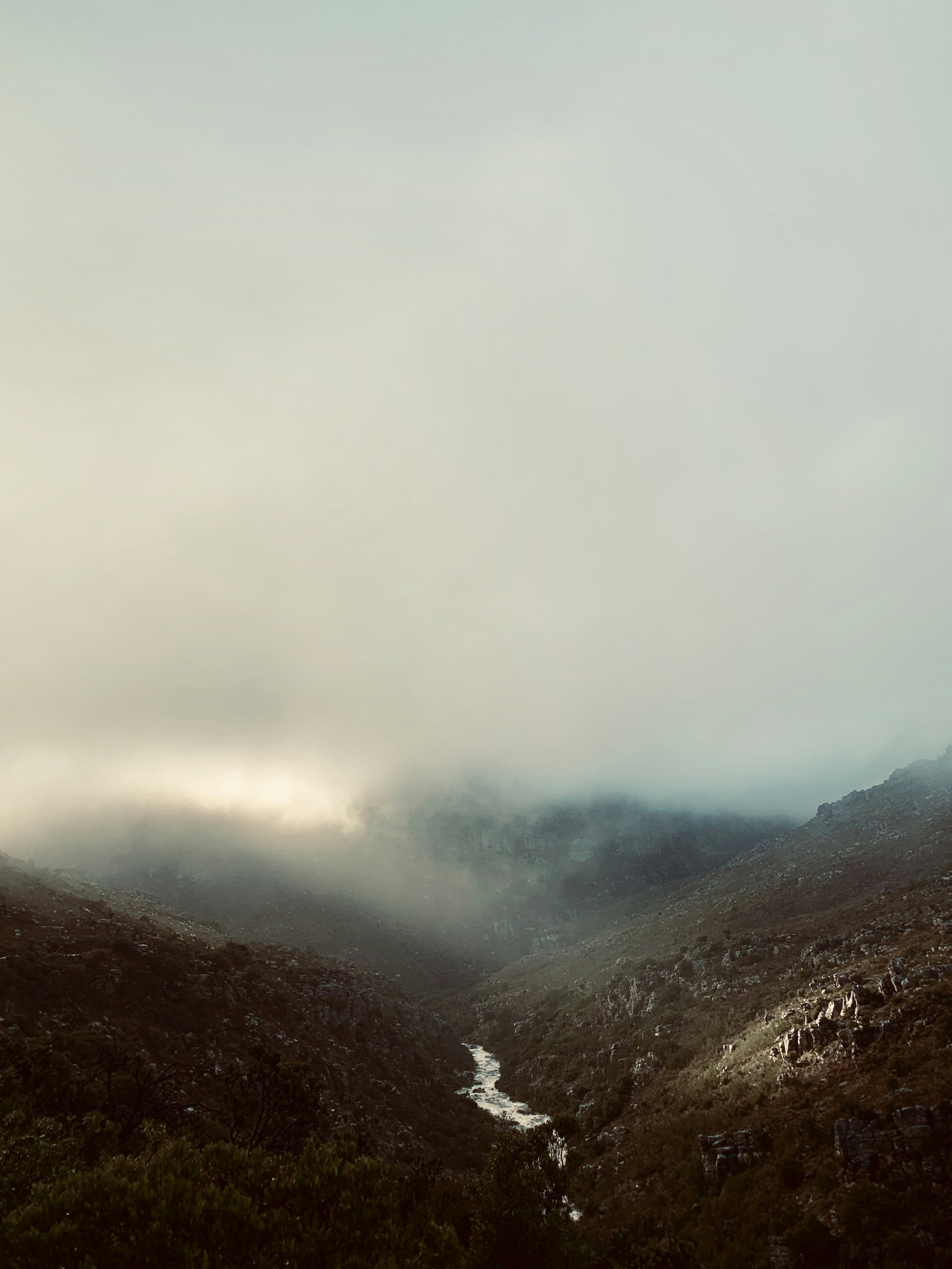 Photo by Robert Fyall with Apple iPhone XS