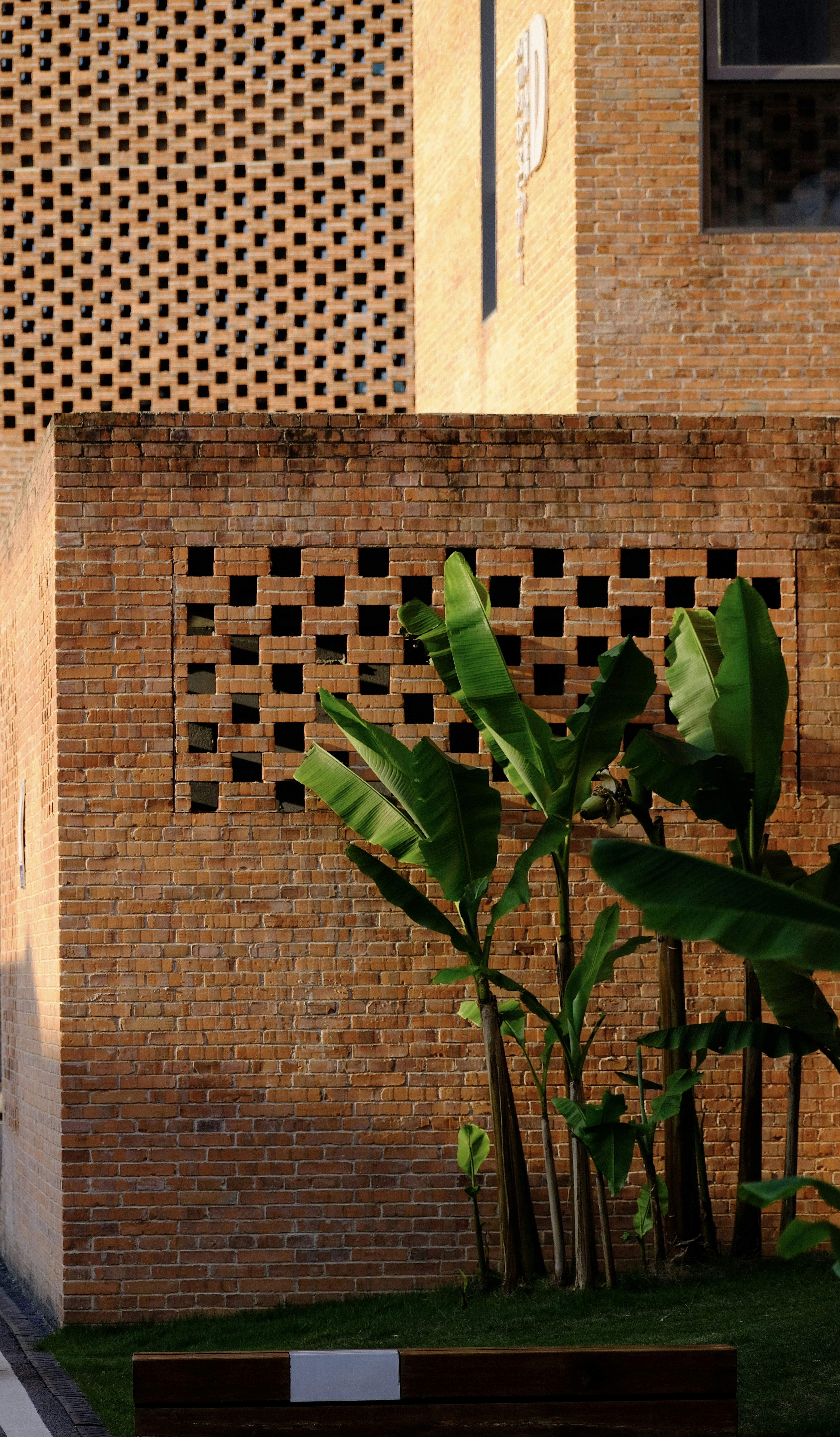 Sunlit Banana Palms Framing a Textured Brick Courtyard
