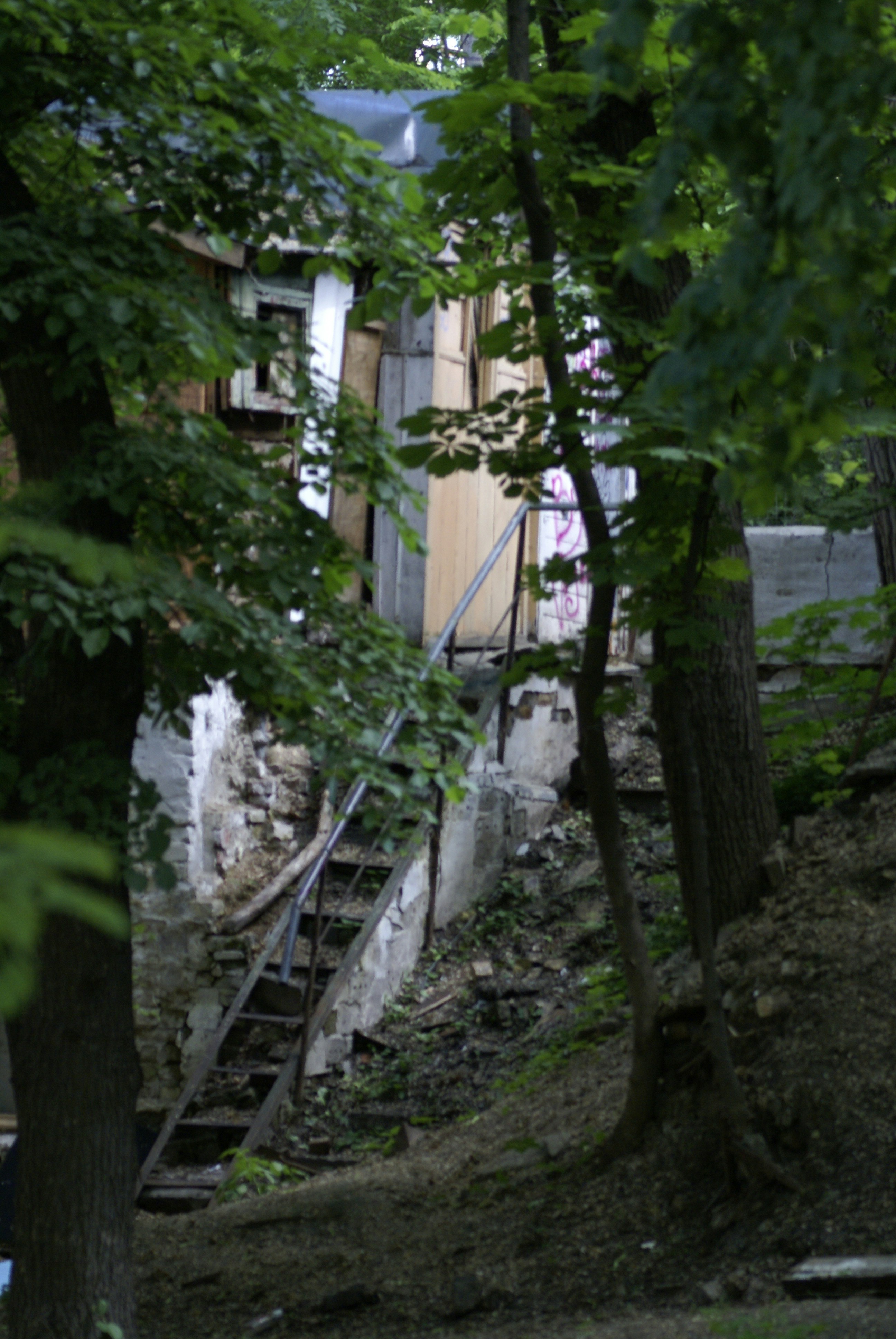 Photo by Nana Kim with Sony Alpha 100