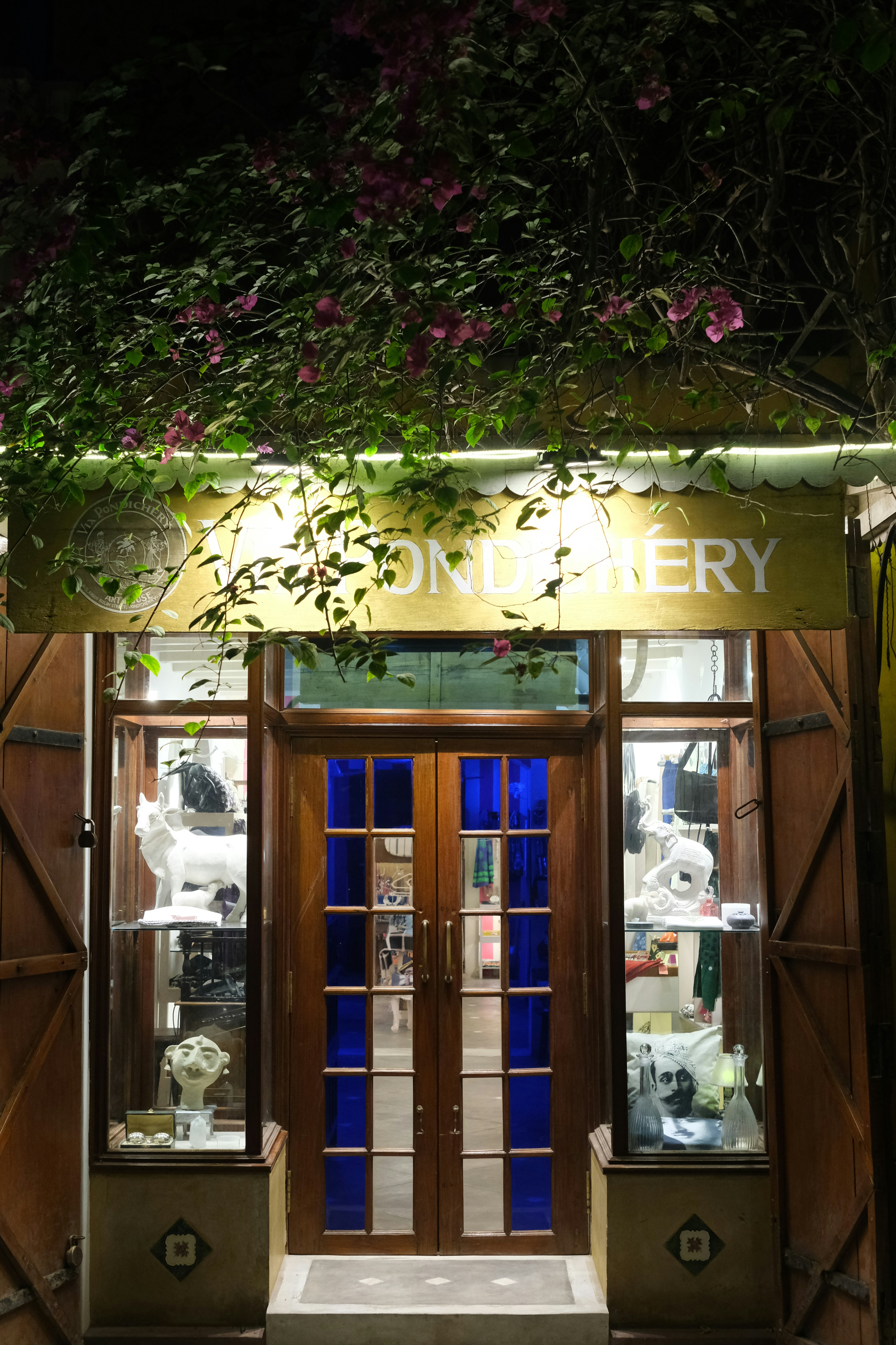Shopfront Under Night Bloom: A Windowed Guardian of Artifacts