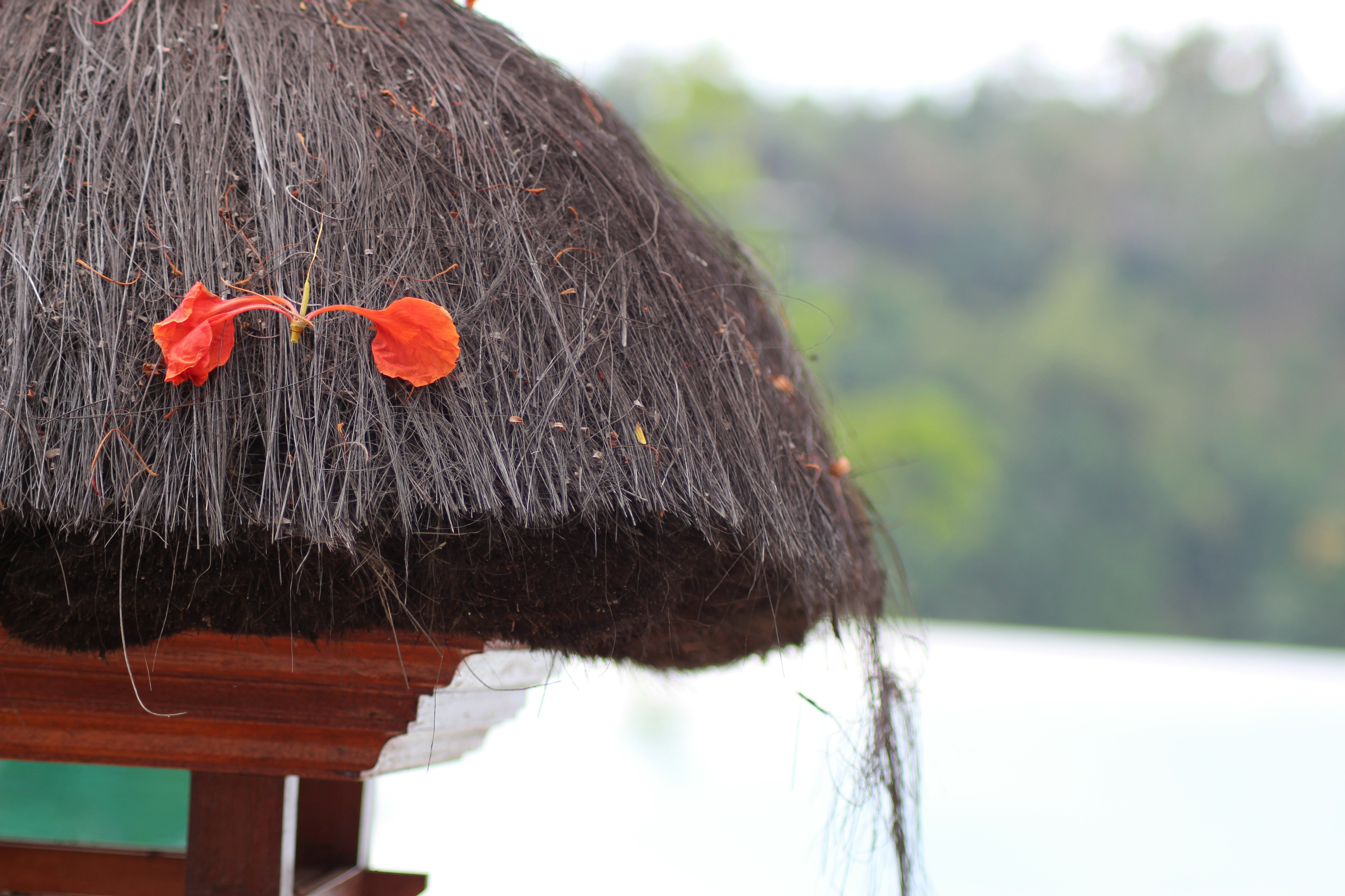 Red-Flowered Tresses: A Hut Roof with a Delicate Petal Stitch