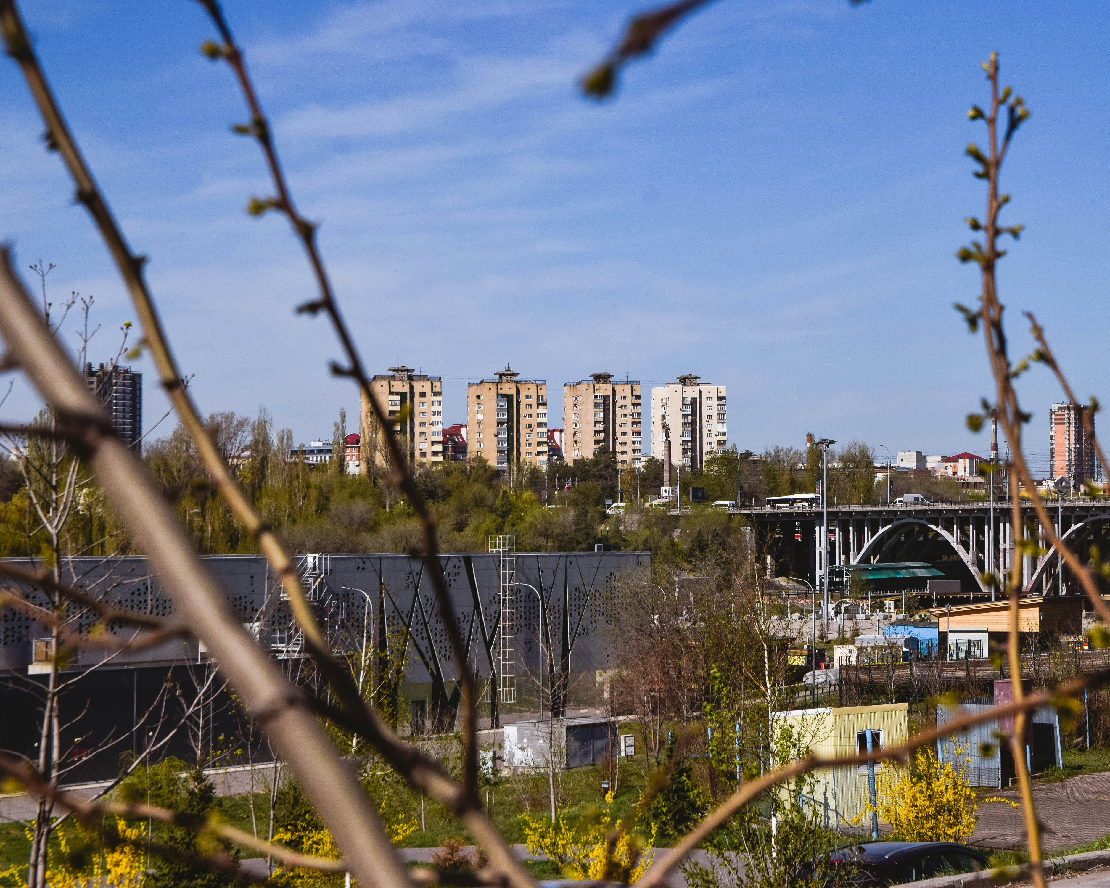 Bridge spans a river with city buildings in the distance framed by budding branches.