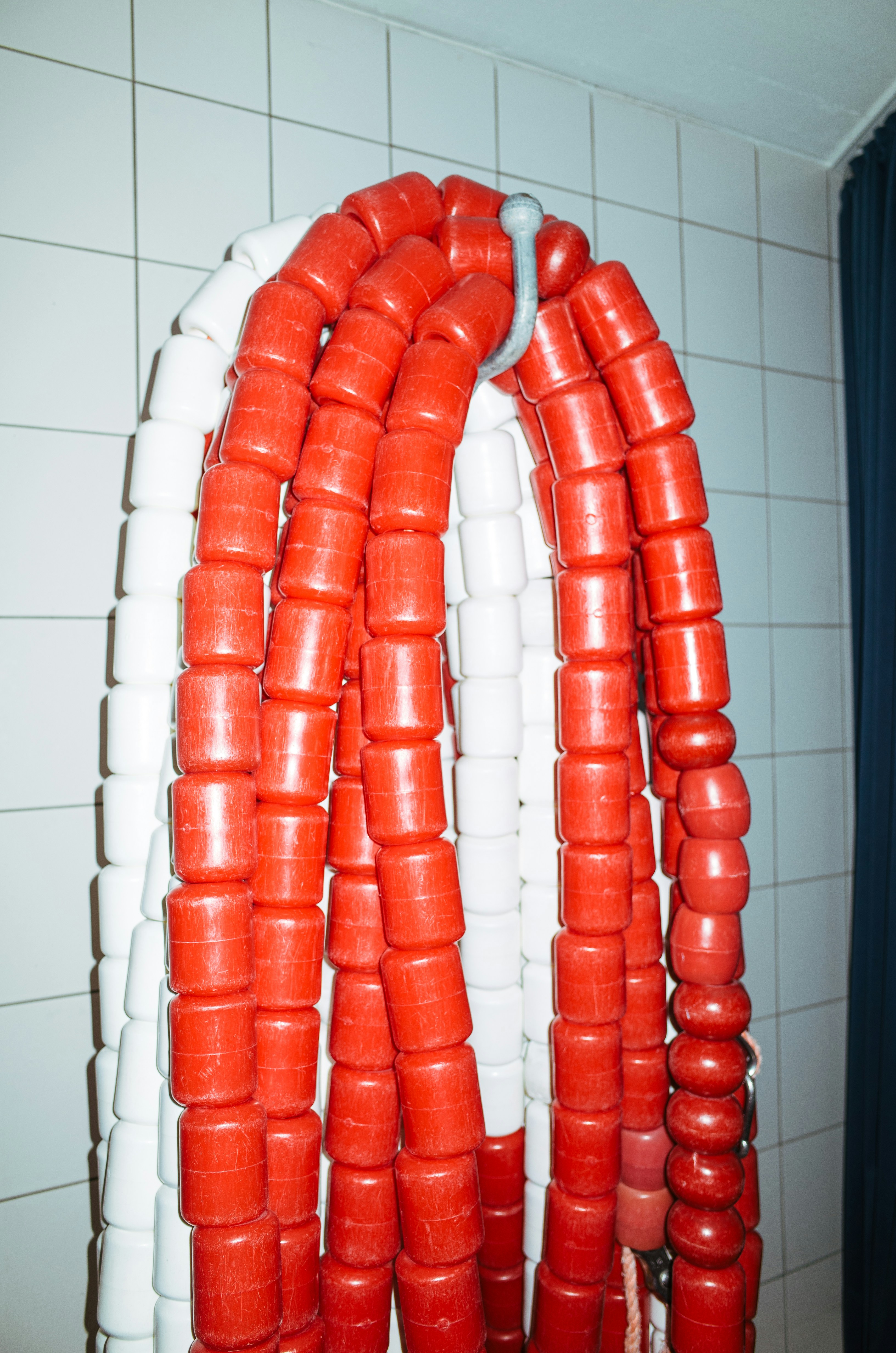 Crimson Coils Draped Against a White Tile Backdrop