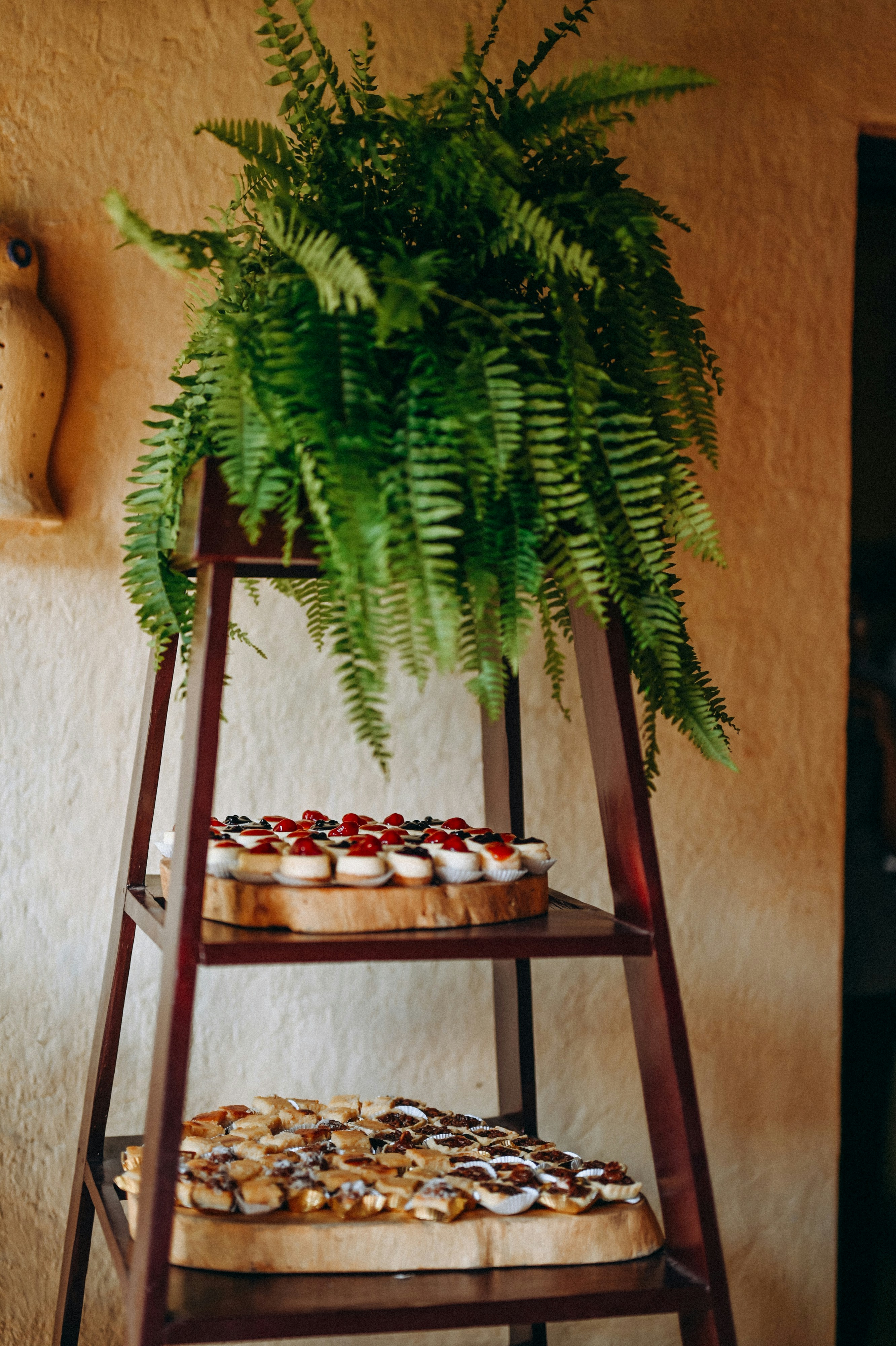 Fern Crown on a Wooden Stand with Assorted Pastries