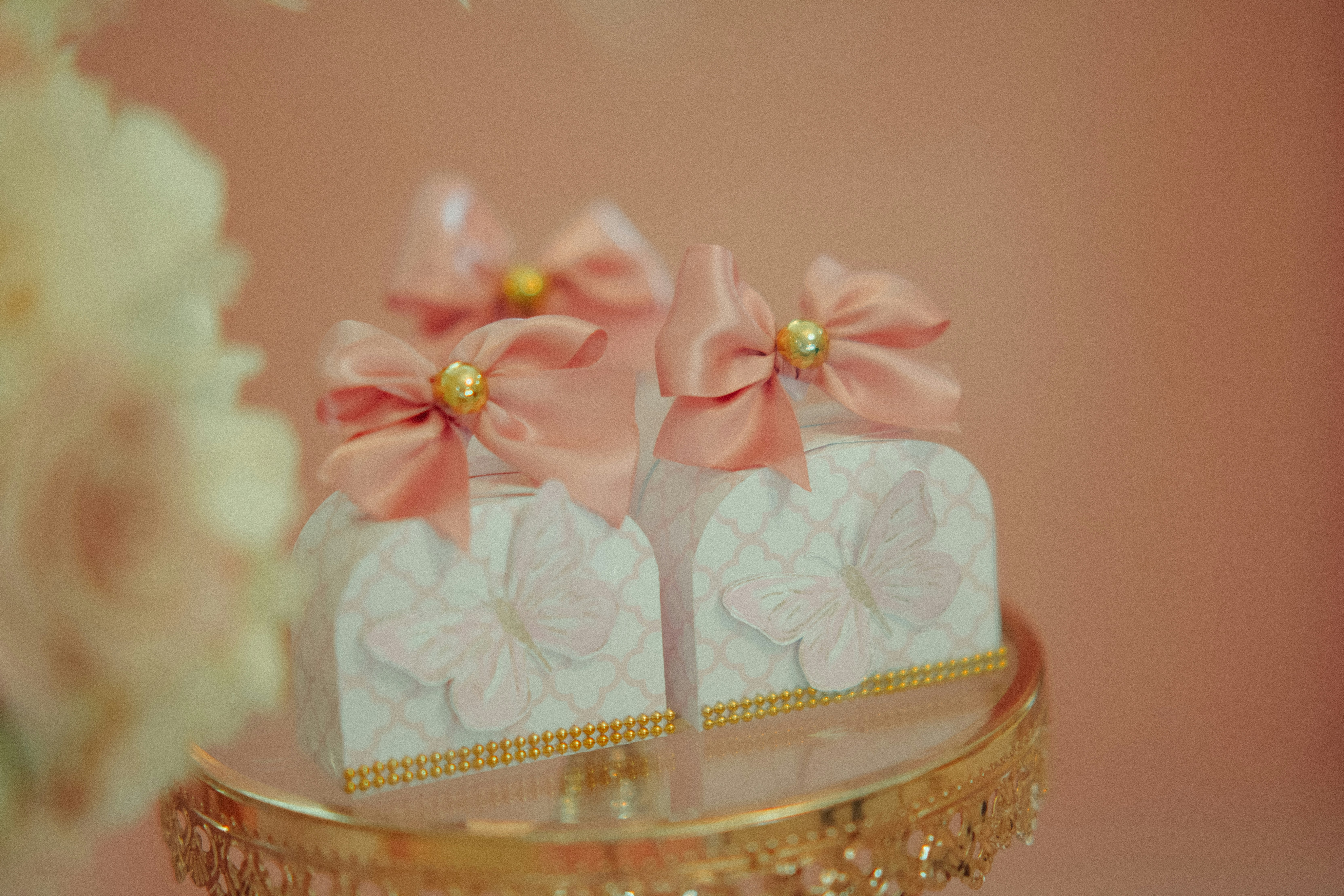 Photo by Robert Vasquez with Nikon Z7 II