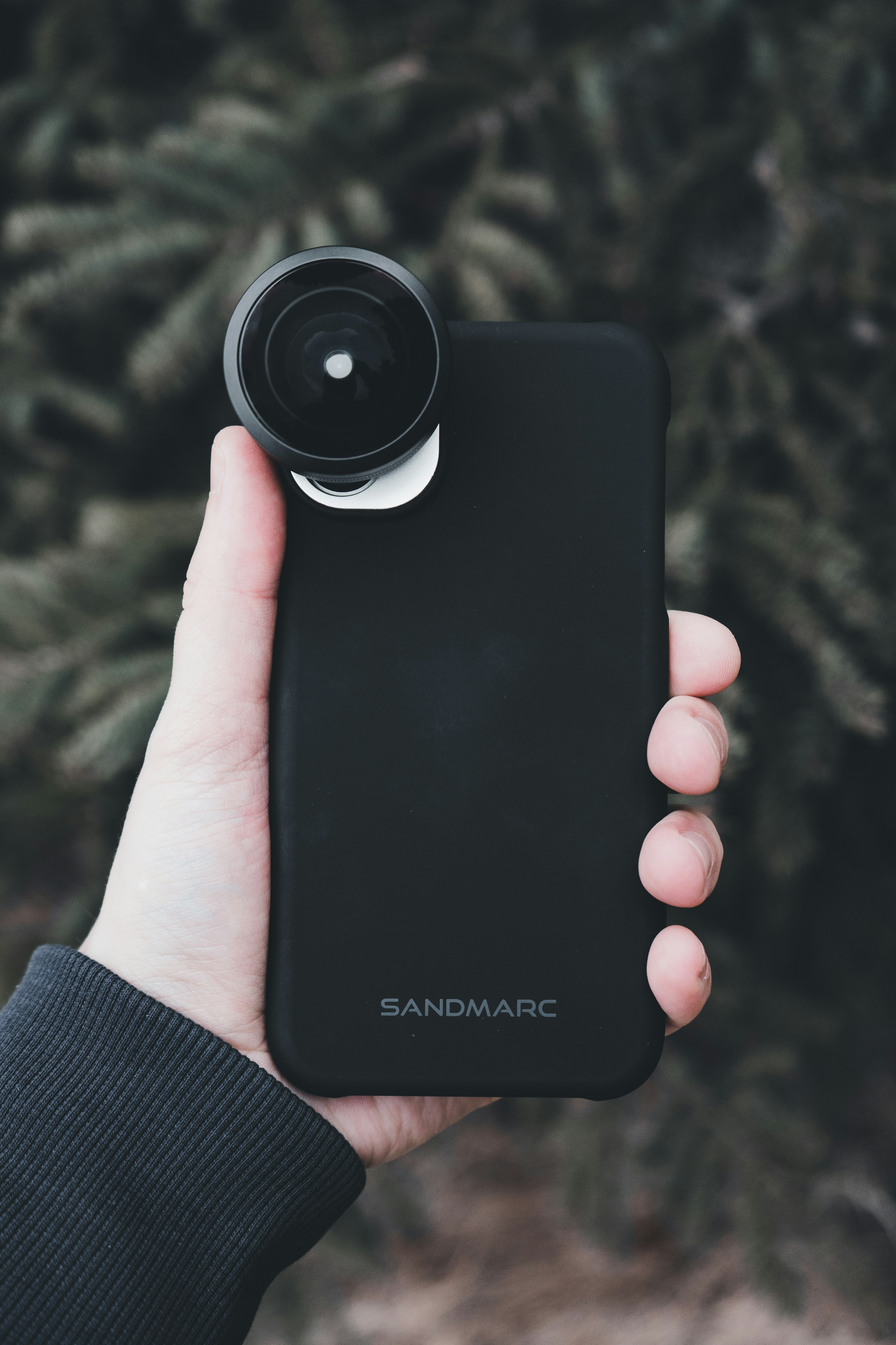 Sandmarc on a Phone: A Quiet Close-Up Amid Evergreen Backdrop