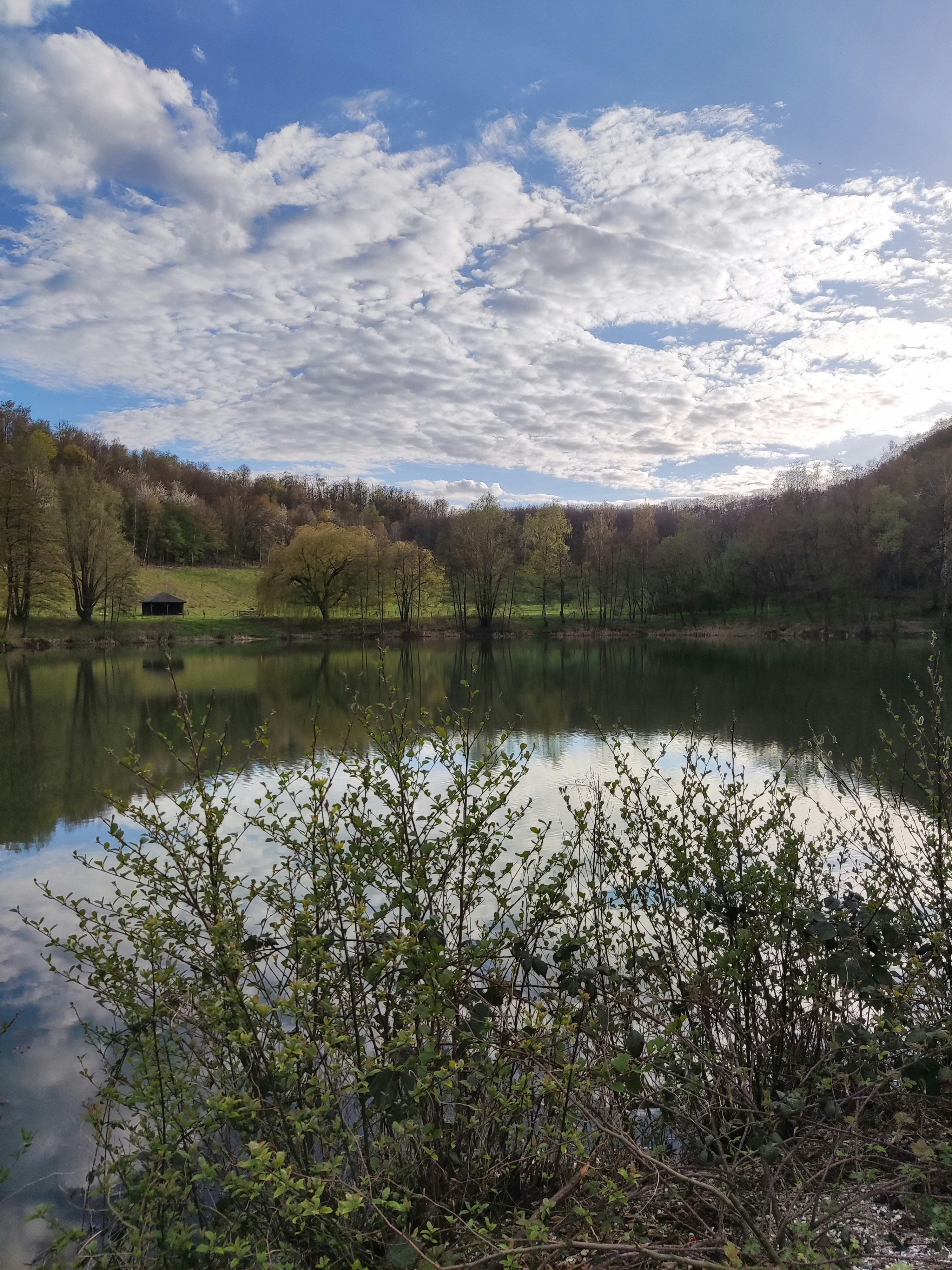 Tranquil lakeside scene with a tree-lined shore and a sky filled with fluffy clouds, captured over calm water. Landscape view emphasizing the horizon and reflection; natural scenery lends a serene cinematic mood.