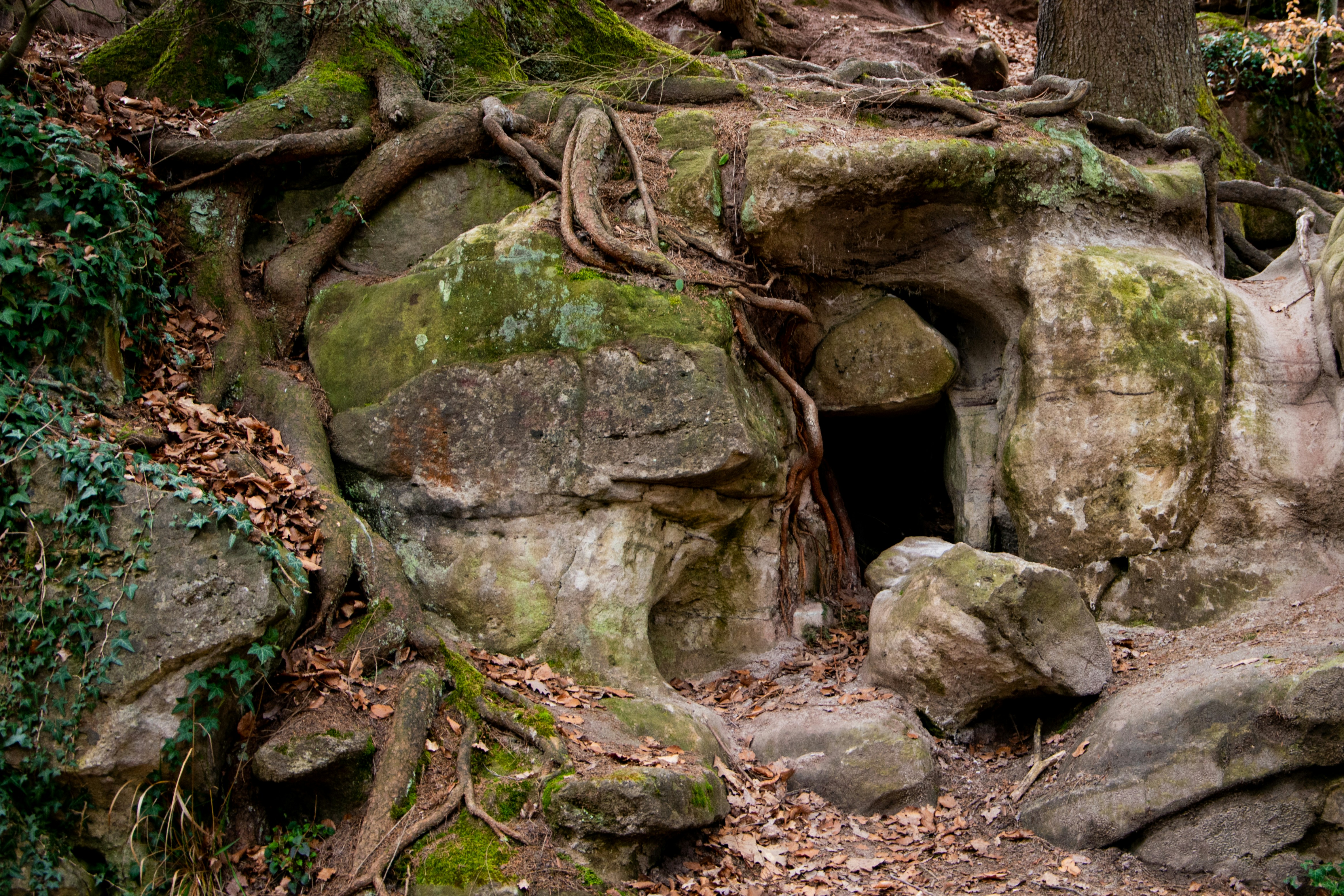 A cave in the middle of a forest photo – Free Murrhardter wald Image on ...