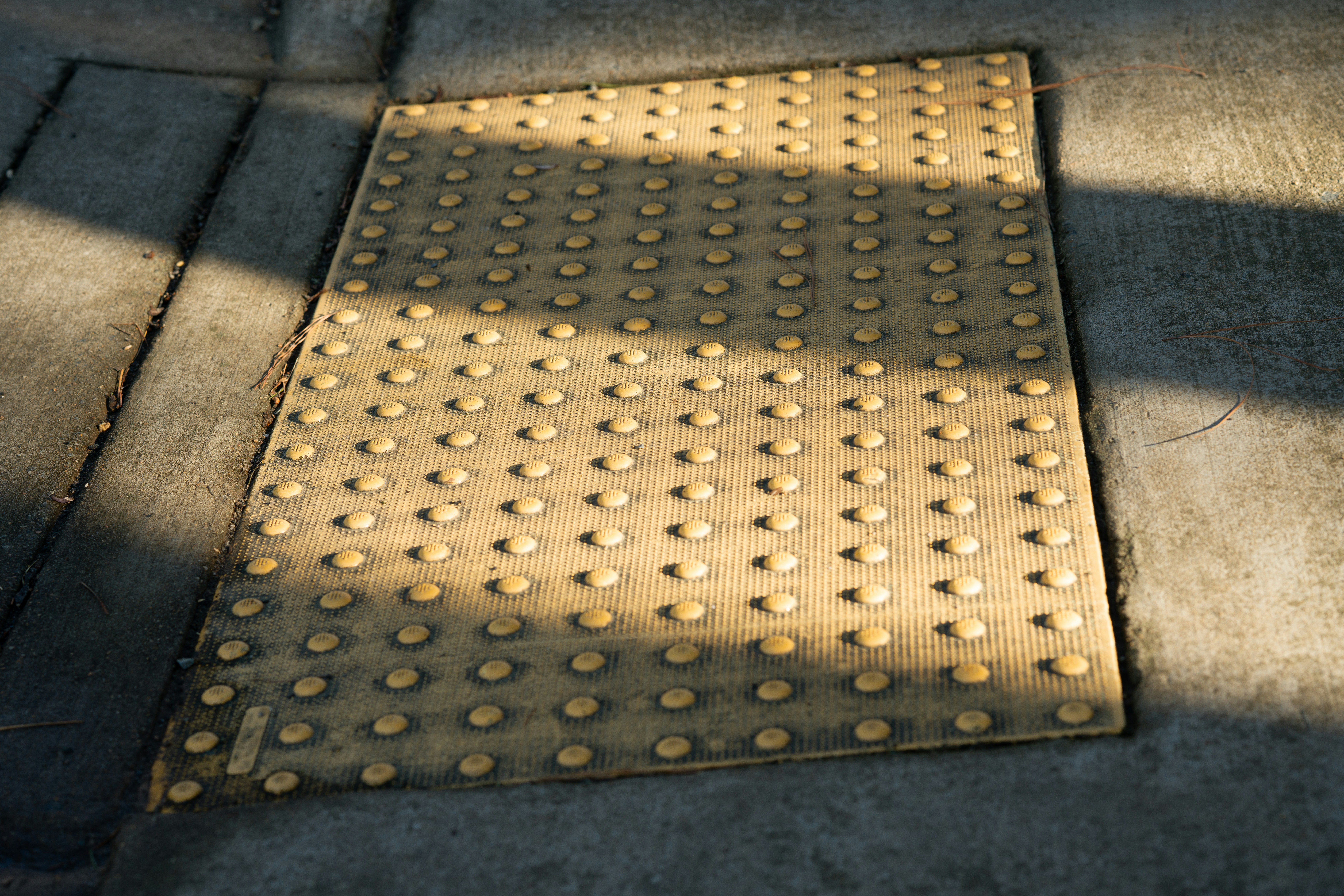 Sunlit Dots: The Quiet Geometry of a Tactile Sidewalk Tile
