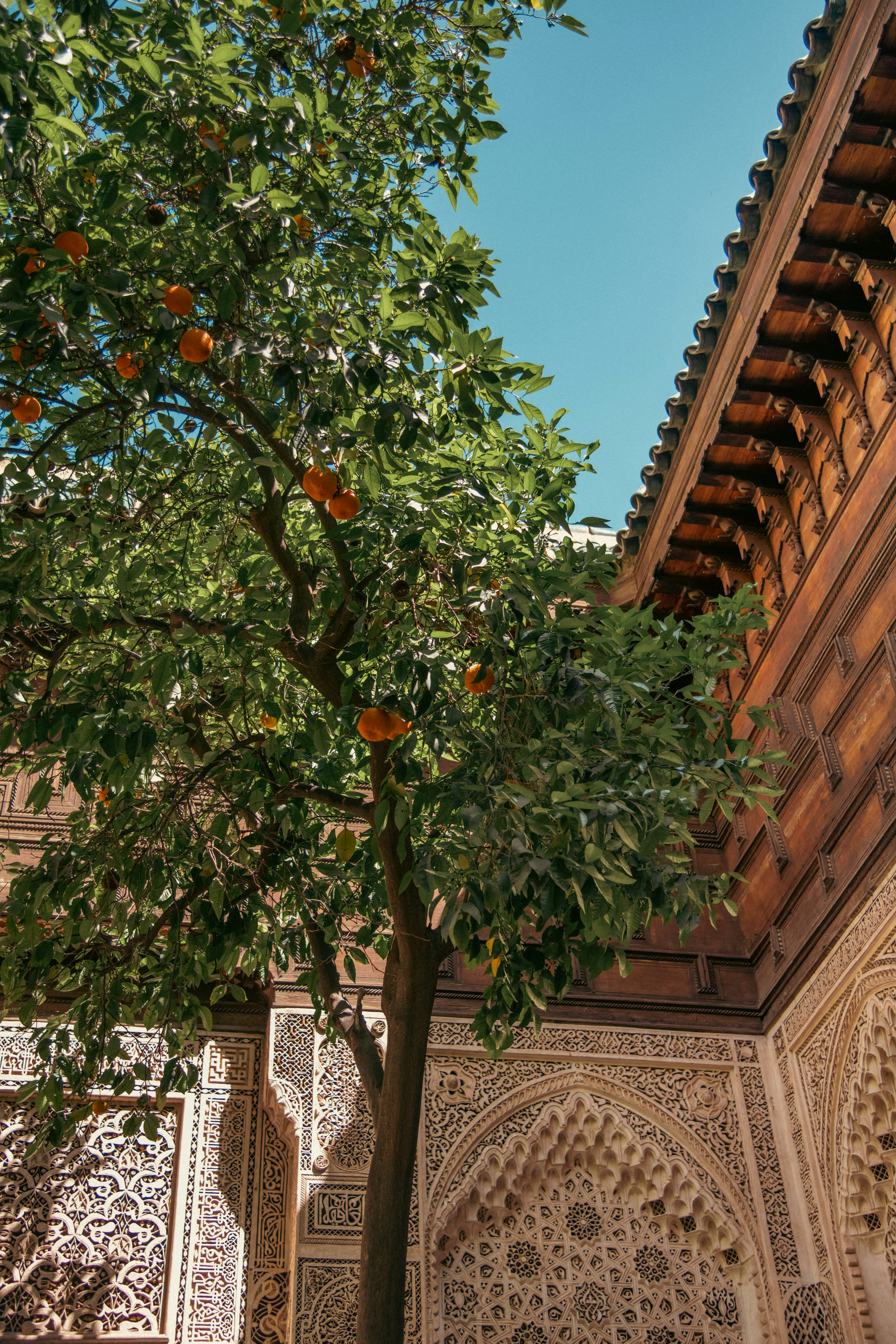 Sunlit Orange Tree Framed by Moorish Courtyard Carvings