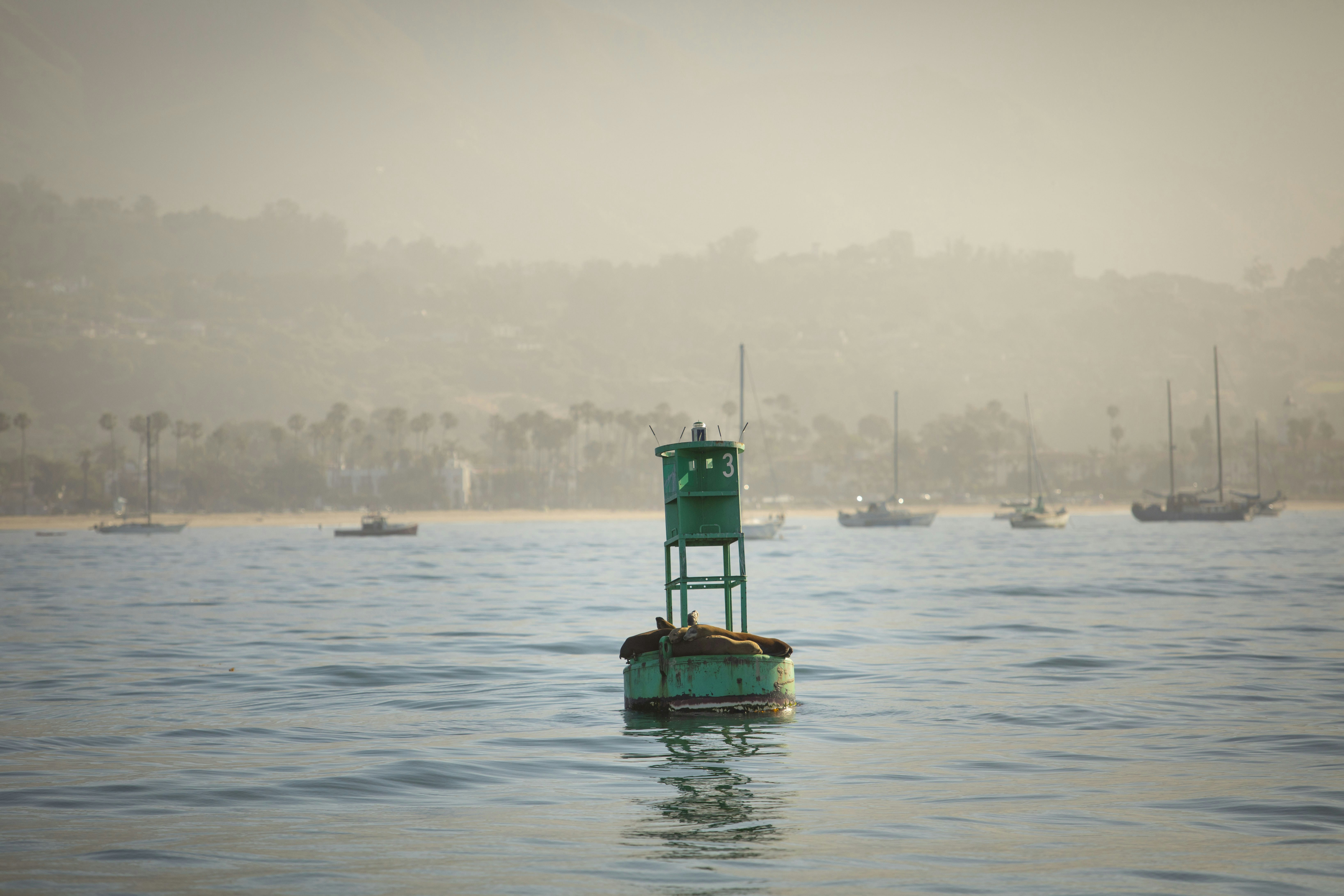 A green buoy floating on top of a body of water photo – Free Sailboat ...