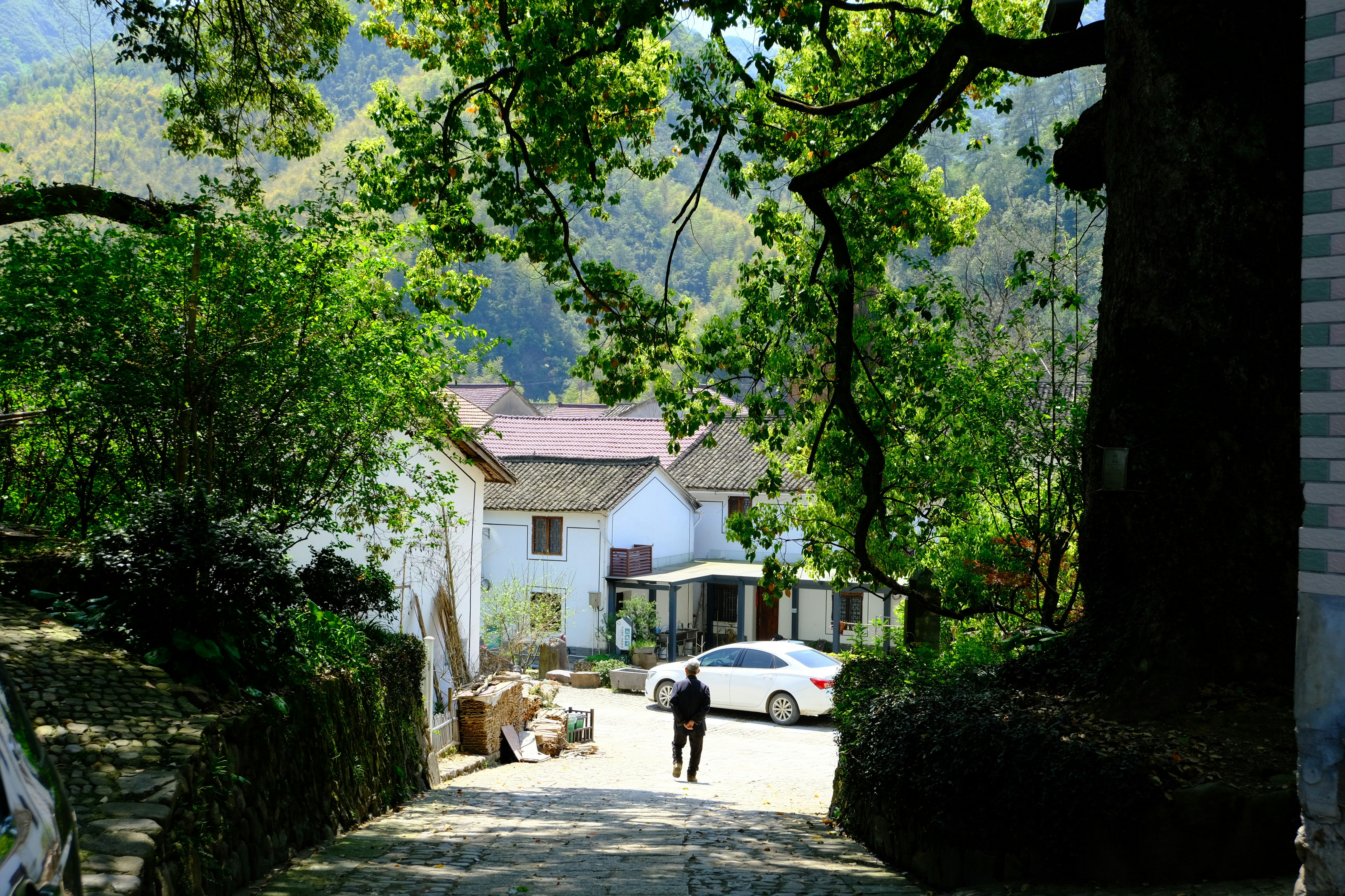 A lone figure walks down a sunlit path lined with lush greenery, leading to quaint white houses nestled in a tranquil valley.