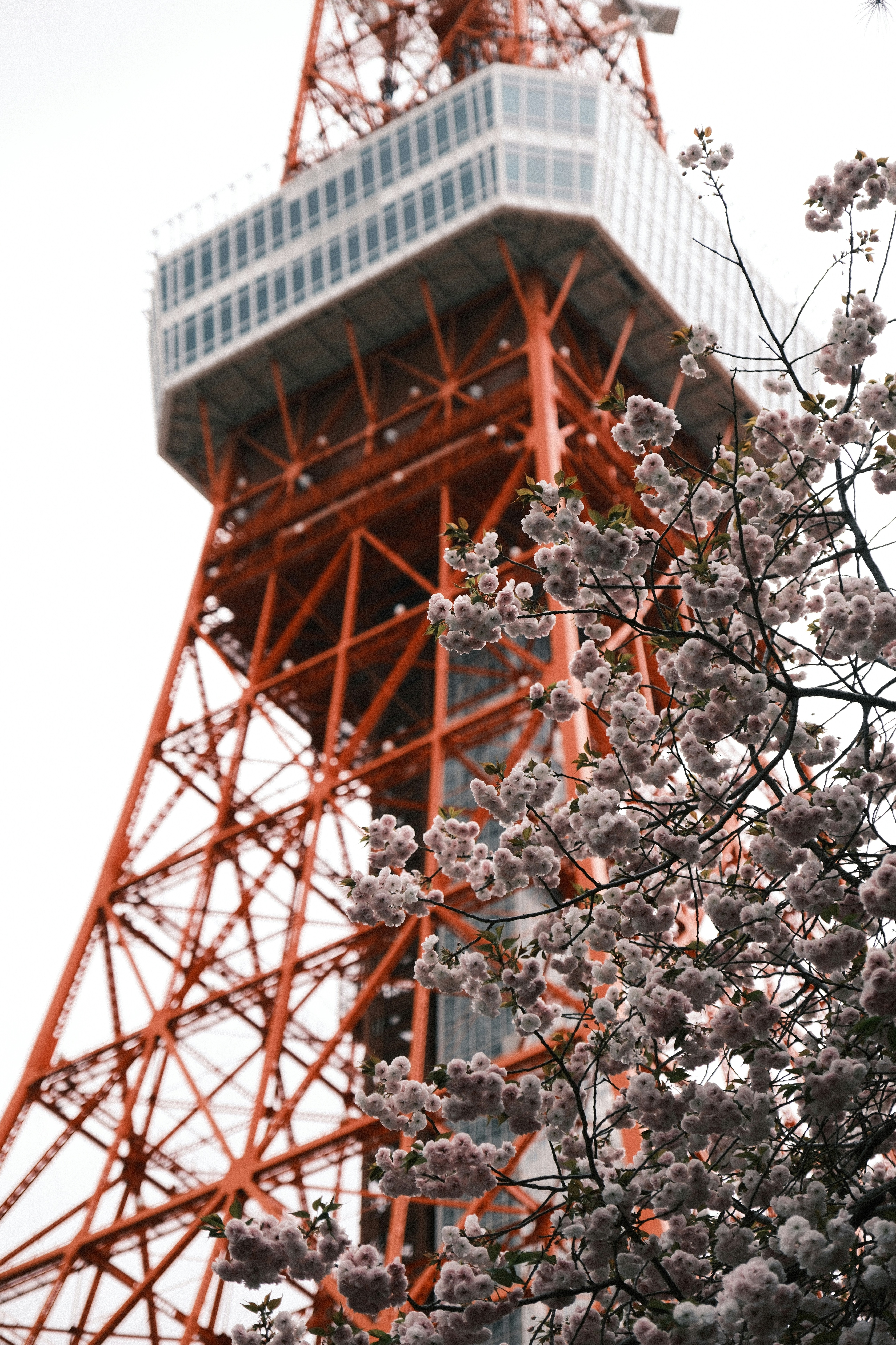 a very tall tower with a bunch of cherry blossoms on it