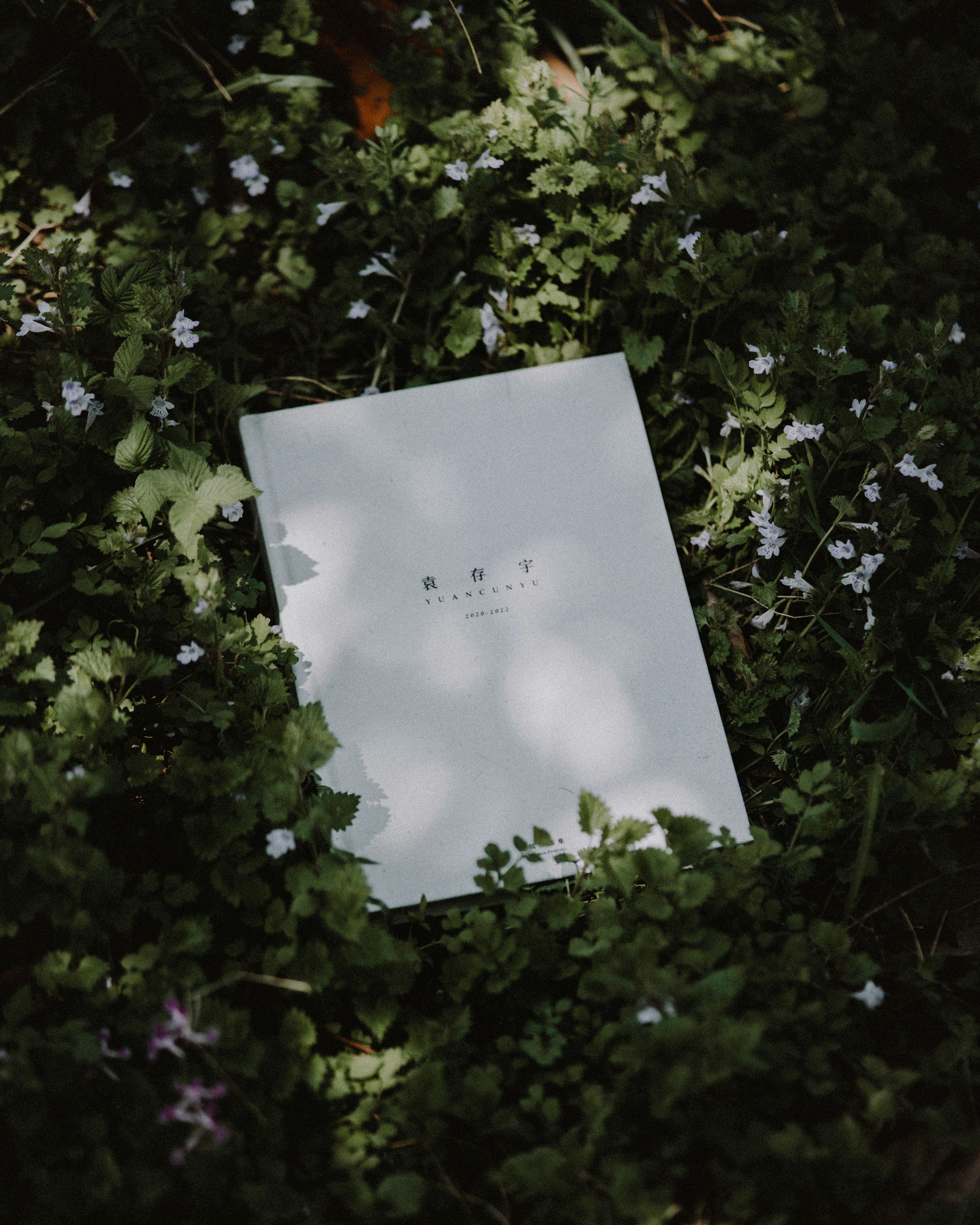 A sheet of paper laying on top of a lush green field photo – Free ...