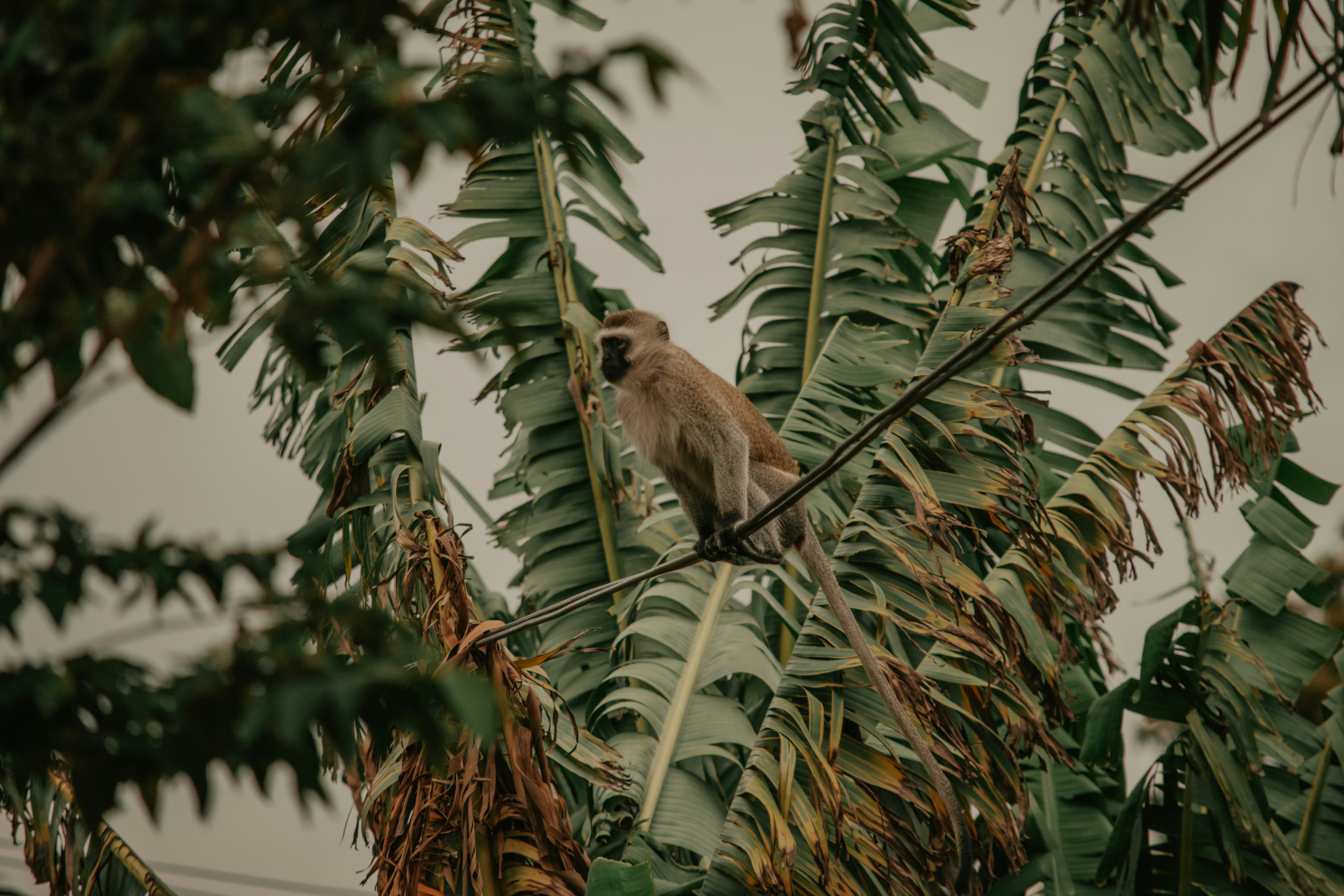 Photo by Utunzaji wa Mazingira with Nikon D3300