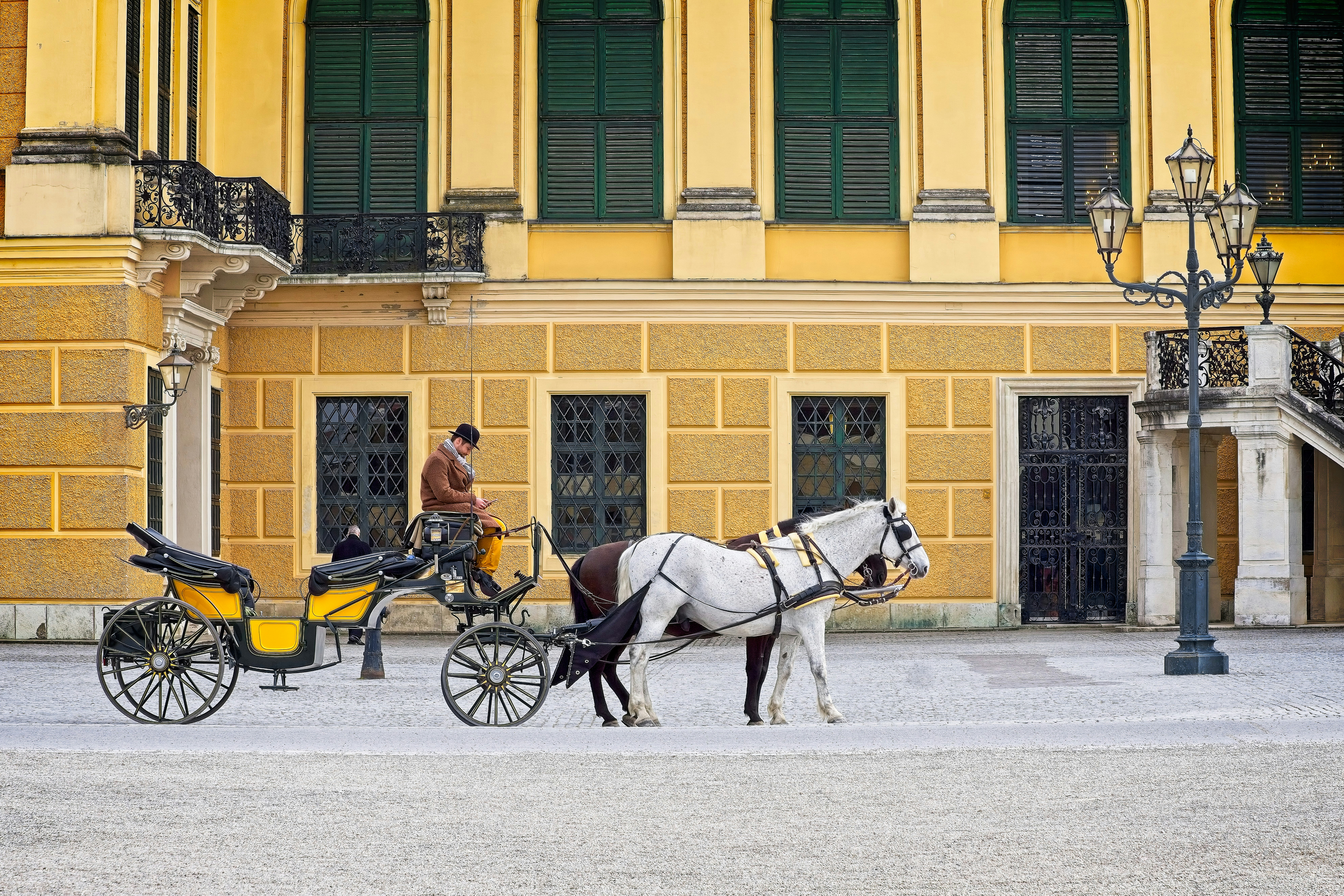 A white horse pulling a yellow carriage down a street photo – Free ...