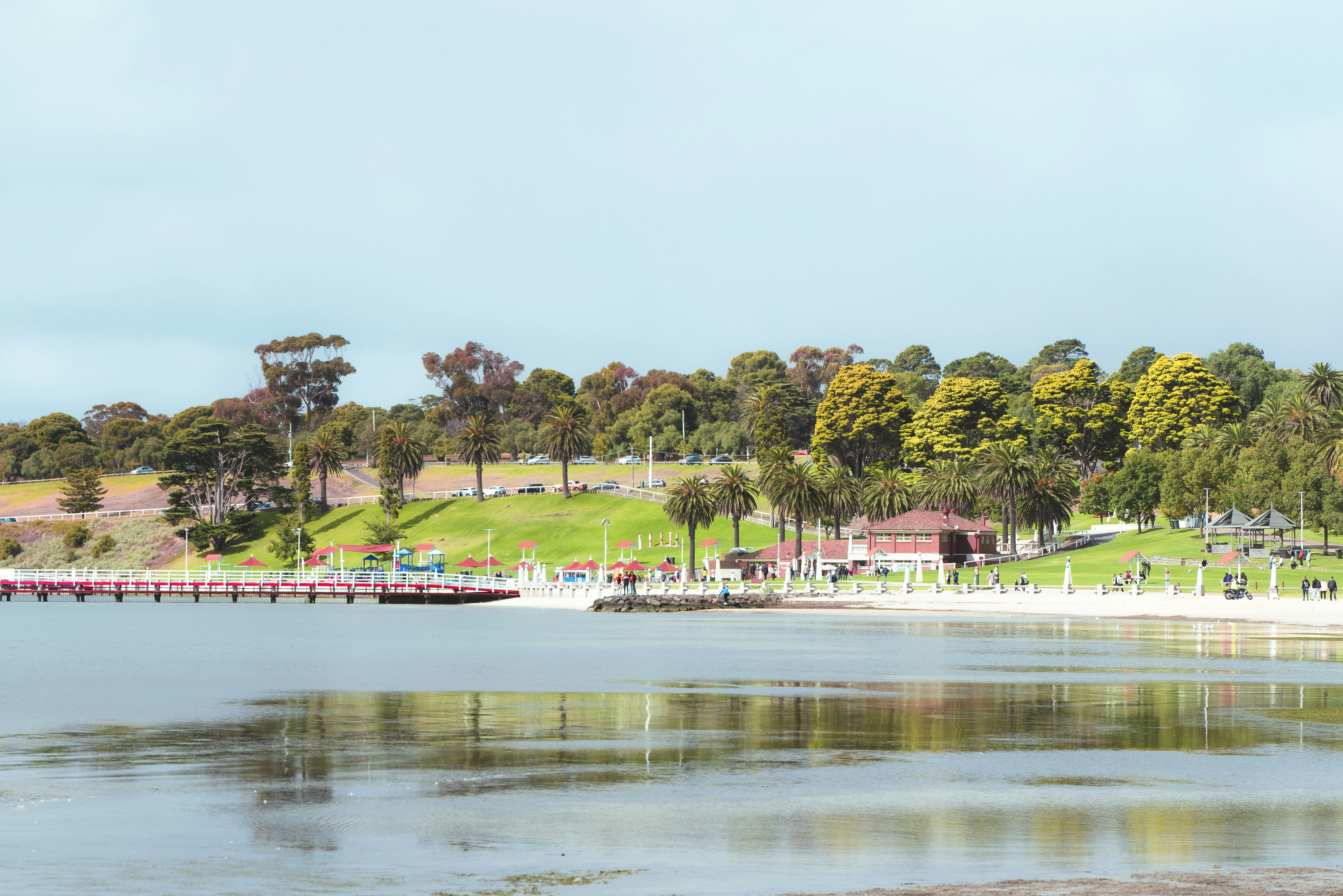 Lush trees and a serene lakefront with reflections under a clear sky.