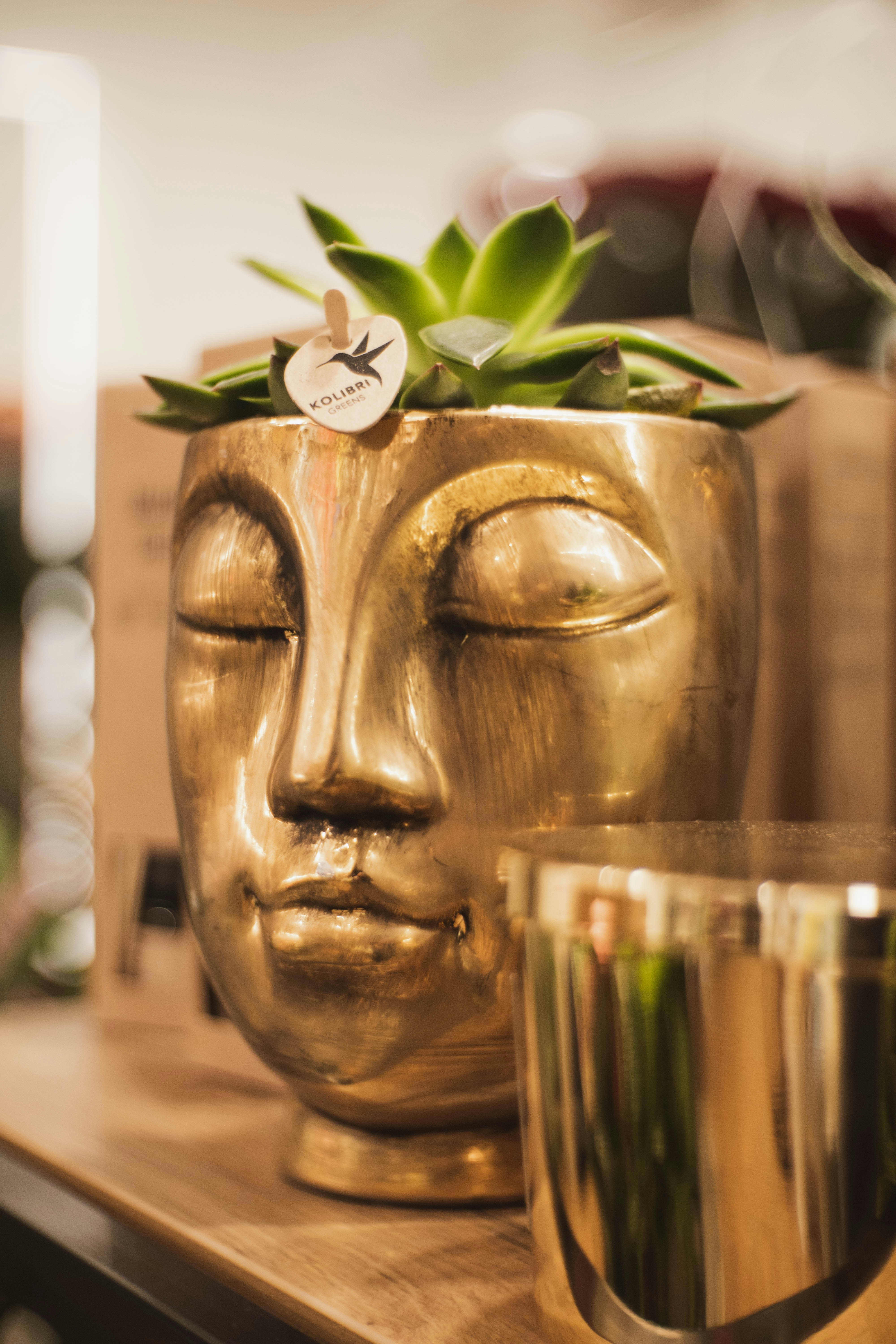 Bronze Buddha Planter with a Living Crown under Warm Indoor Glow