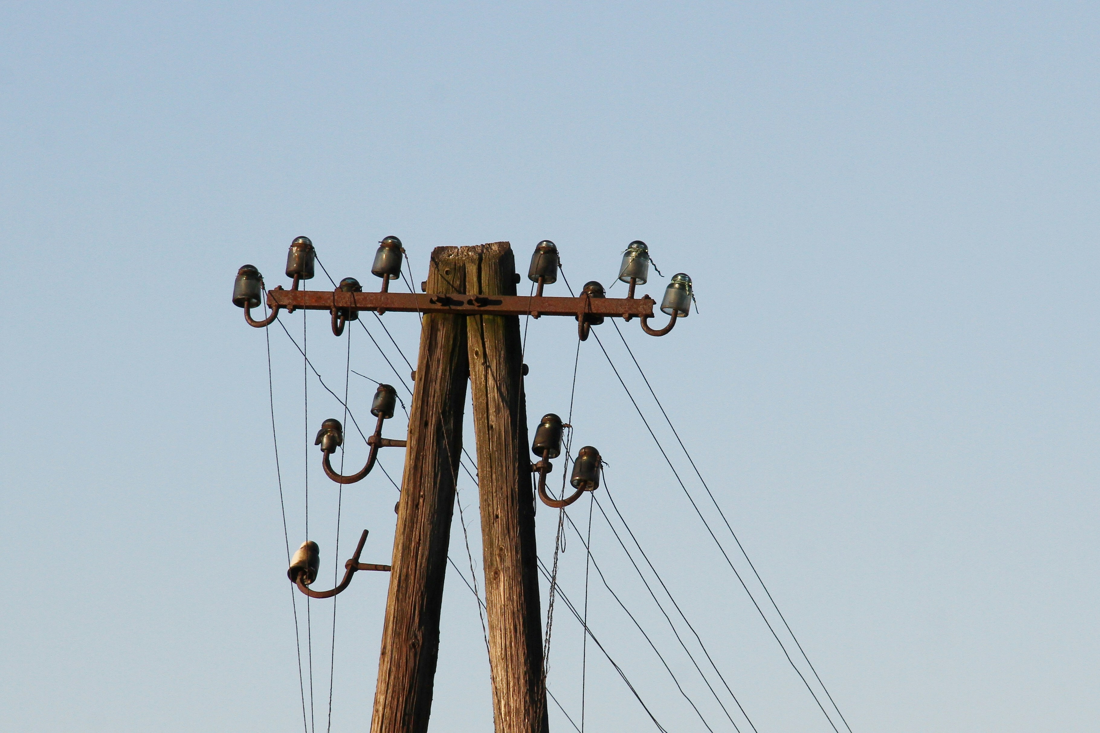 Old utility pole | a group of birds sitting on top of power lines
