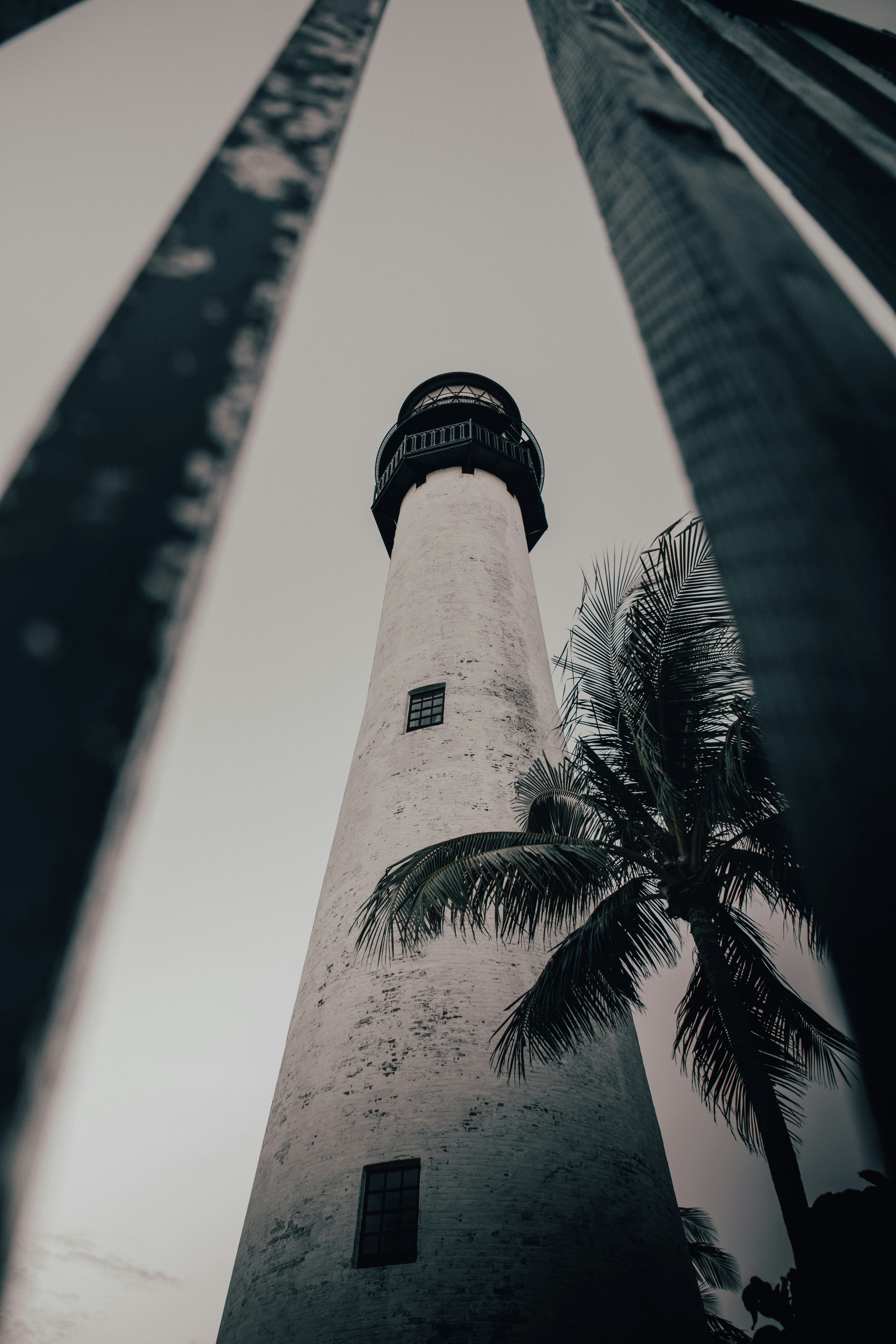 Beacon Between Framing Beams: A Monochrome Lighthouse Study