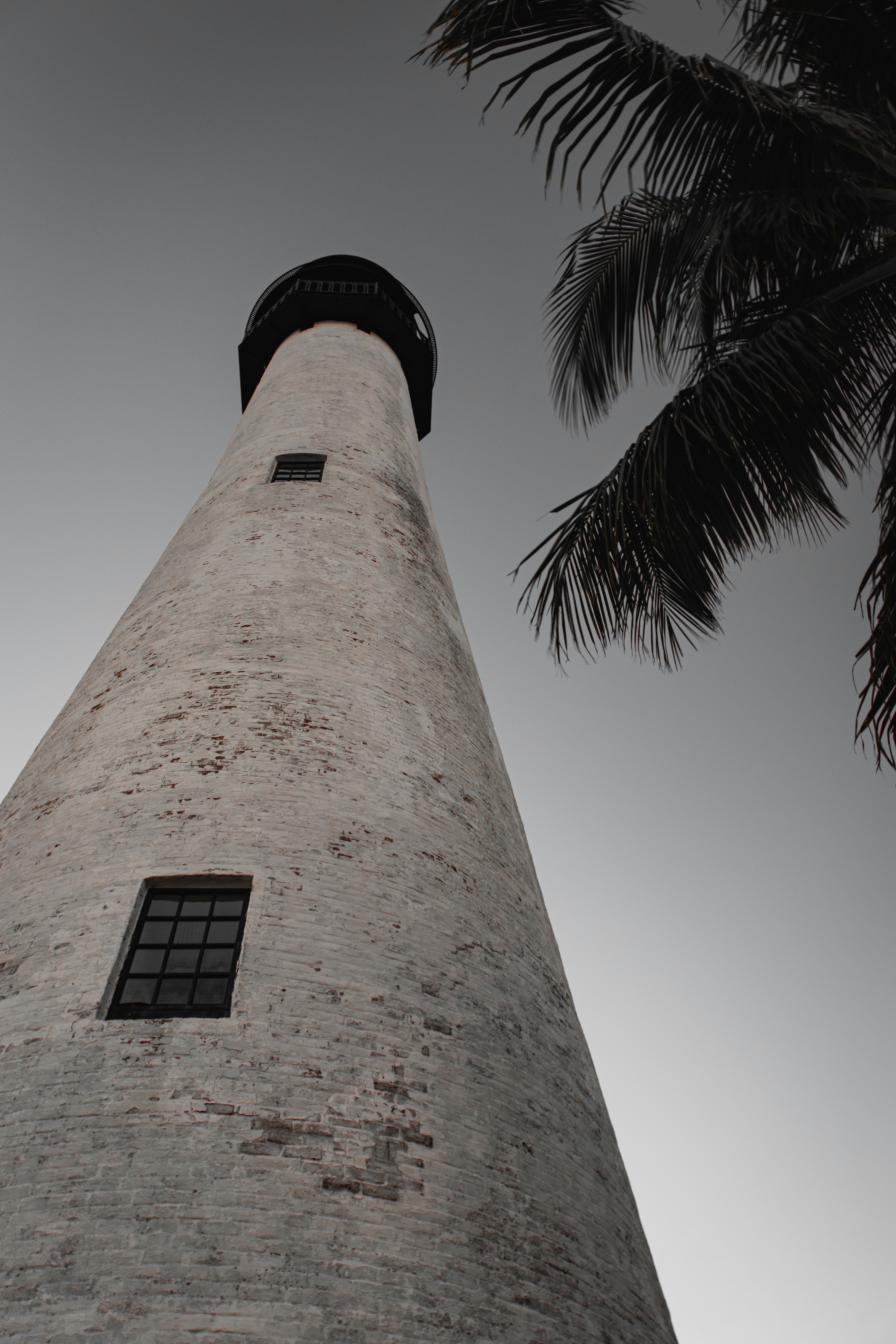 Ascending Sentinel: A White Lighthouse Framed by Tropical Fronds