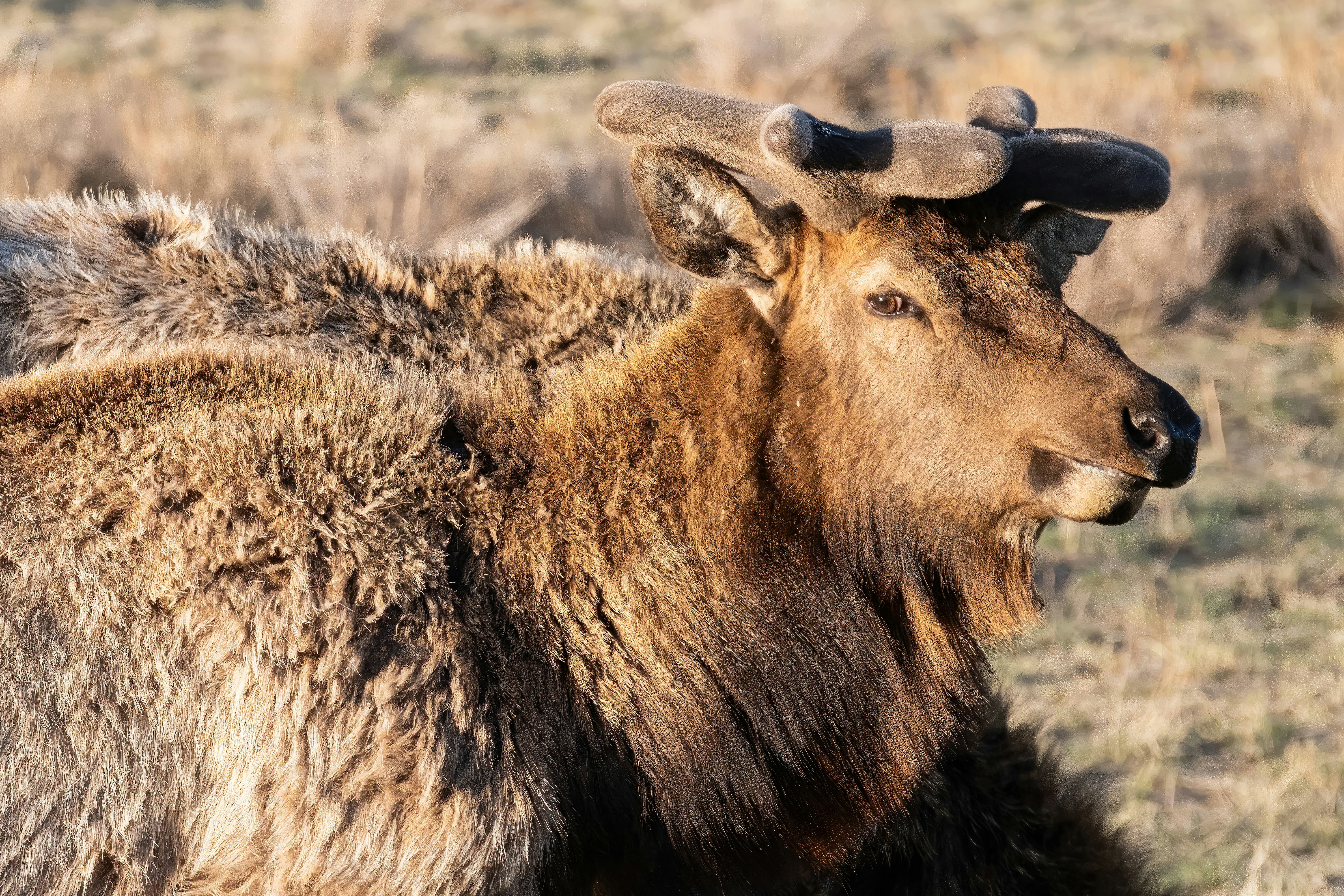 Photo by Robert Koorenny with Fujifilm X-T30 II