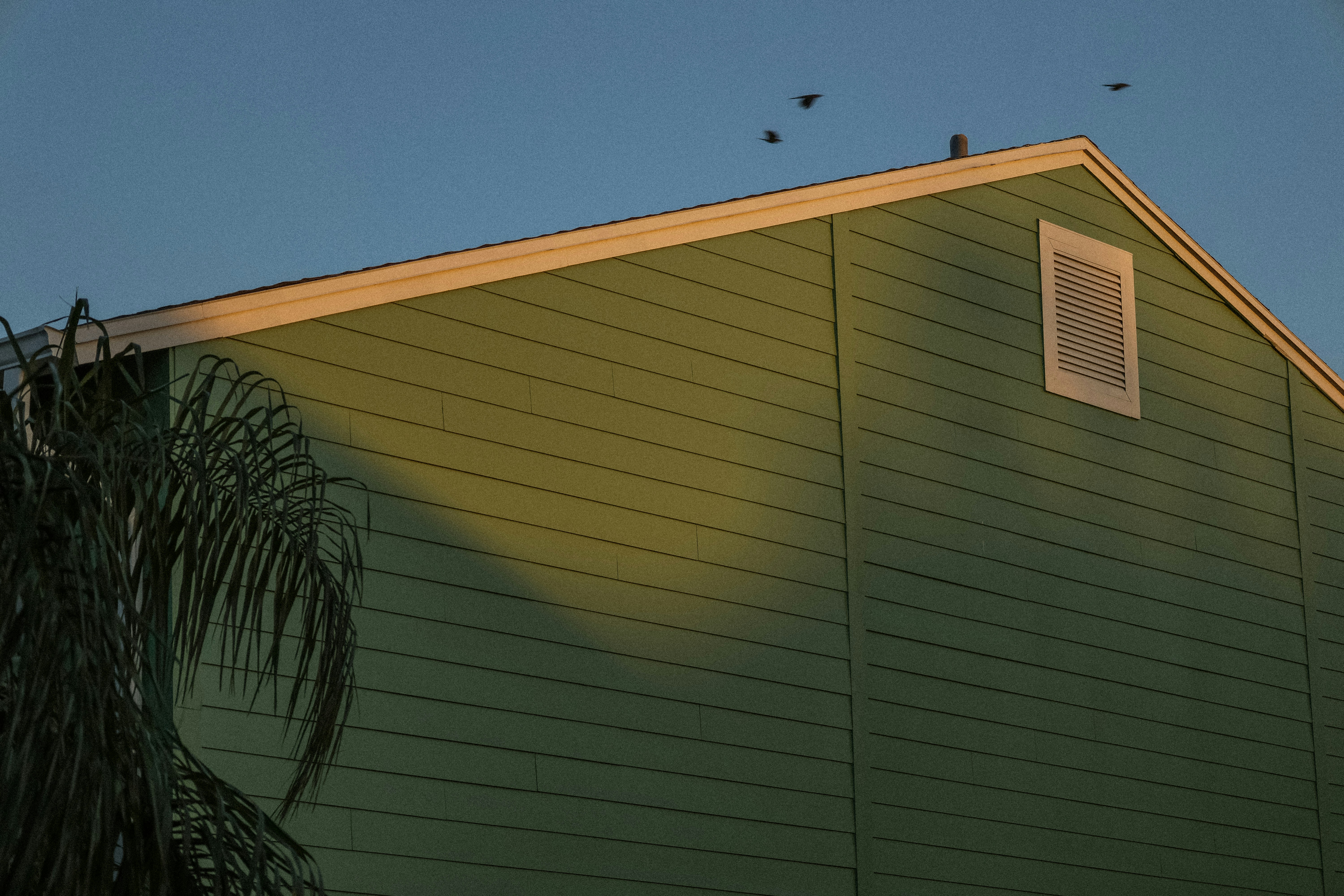 Photo by Daniela Captari with Canon EOS R6 Mark II