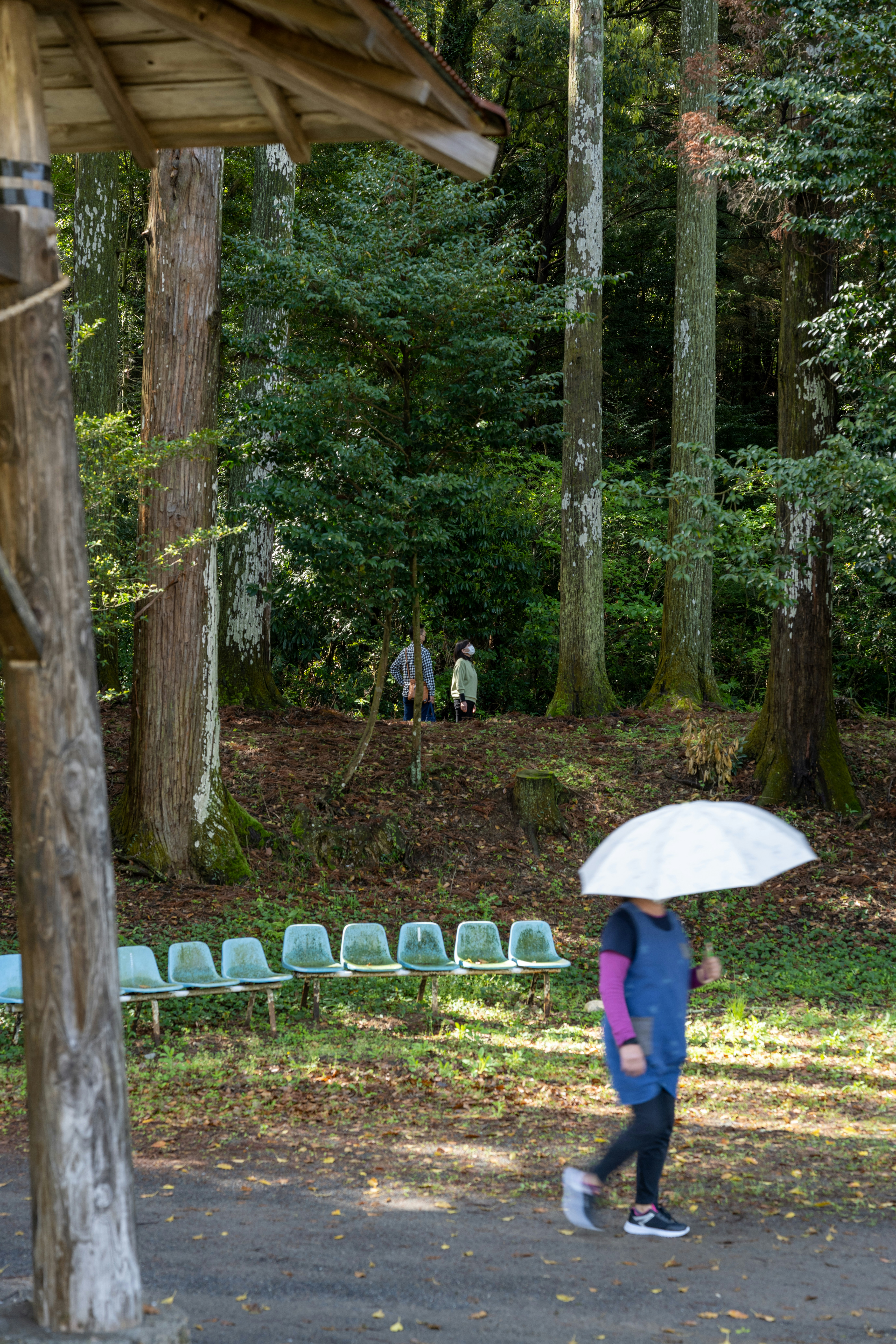 a person walking with an umbrella in a park