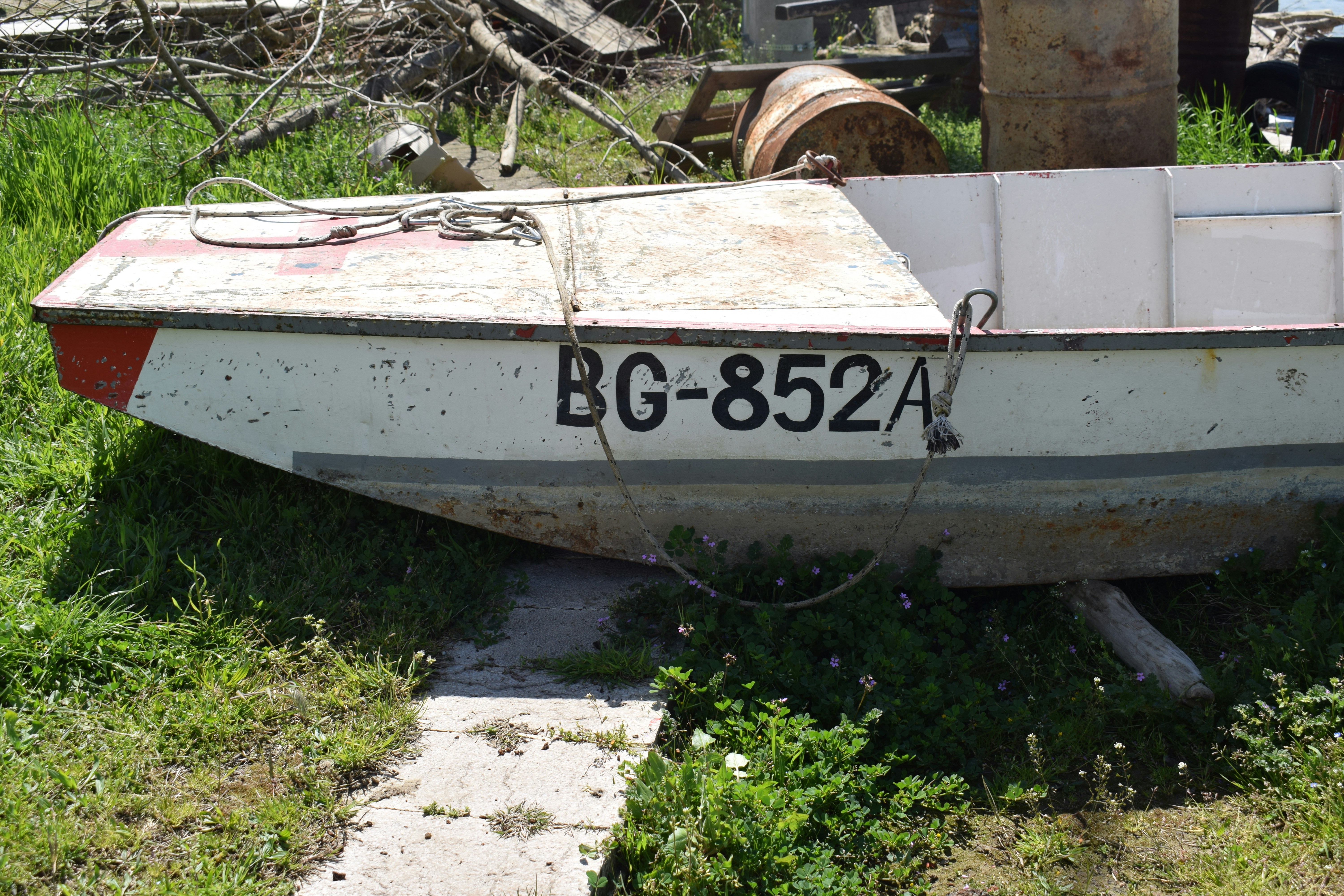 Un bote sentado en el suelo en un patio foto – Imagen de Bote gratuita ...