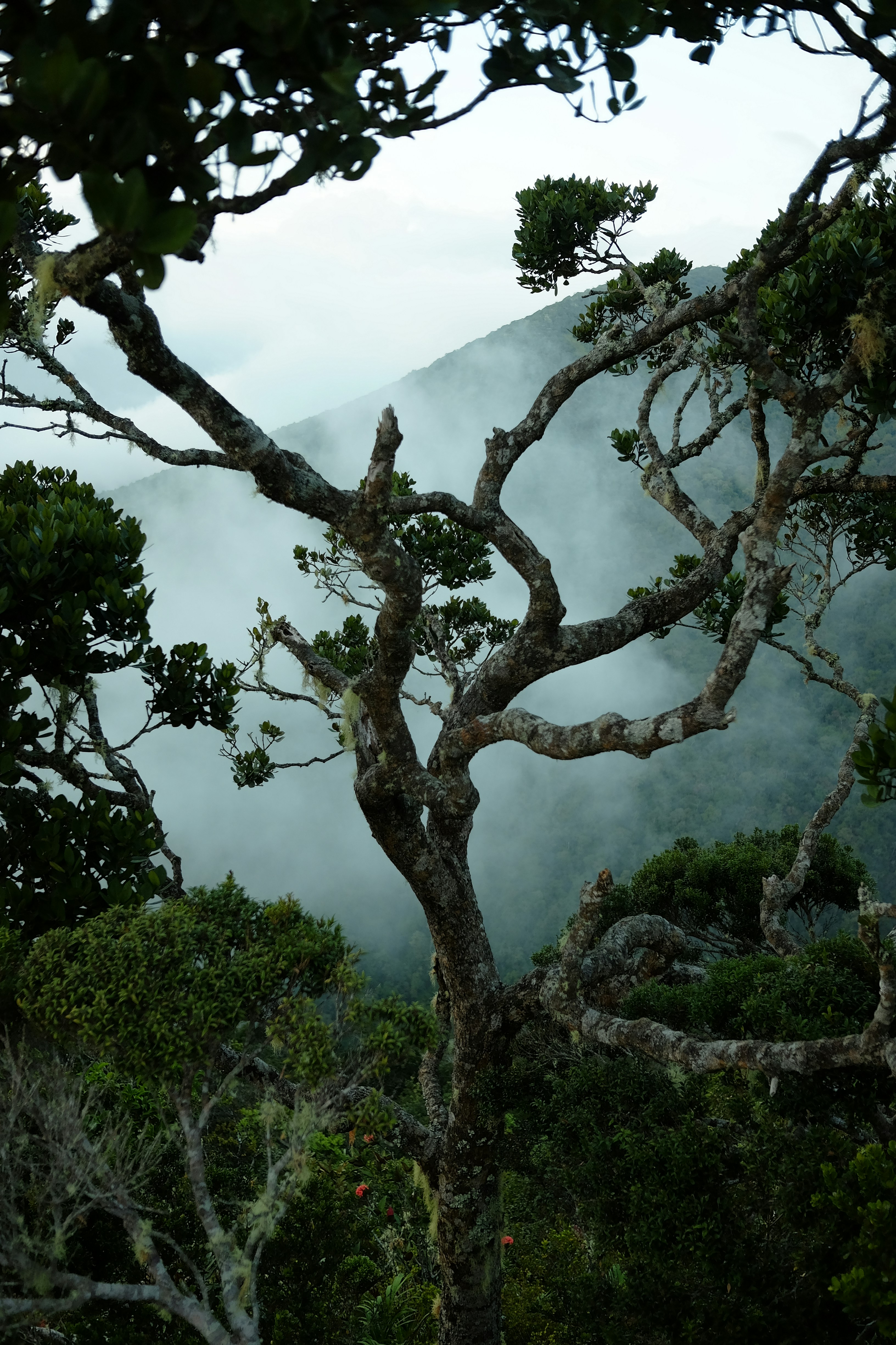 Malcom Johnny (@graato) | Komunitas Foto Unsplash