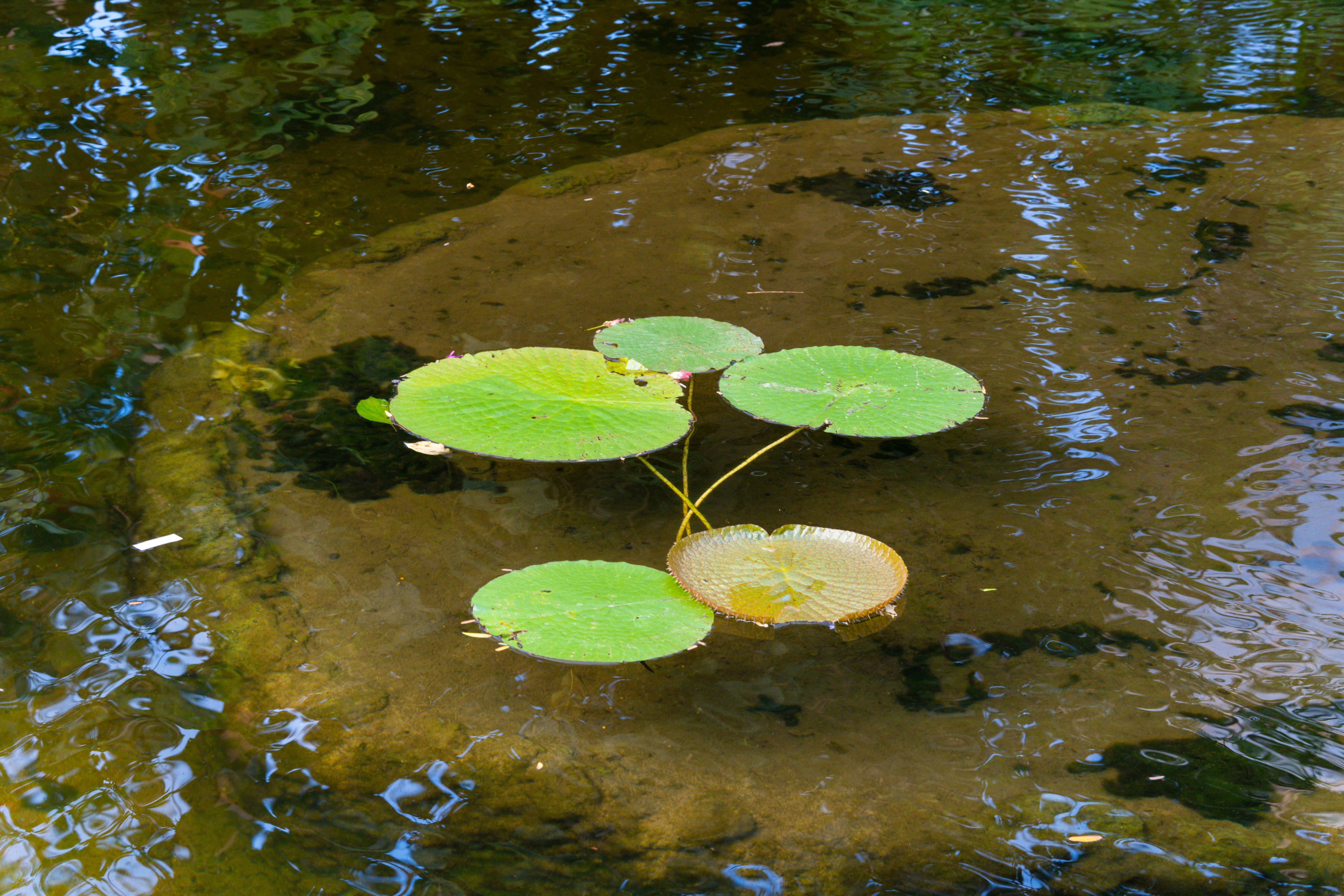 Photo by Pourya Gohari with Sony Alpha 6400