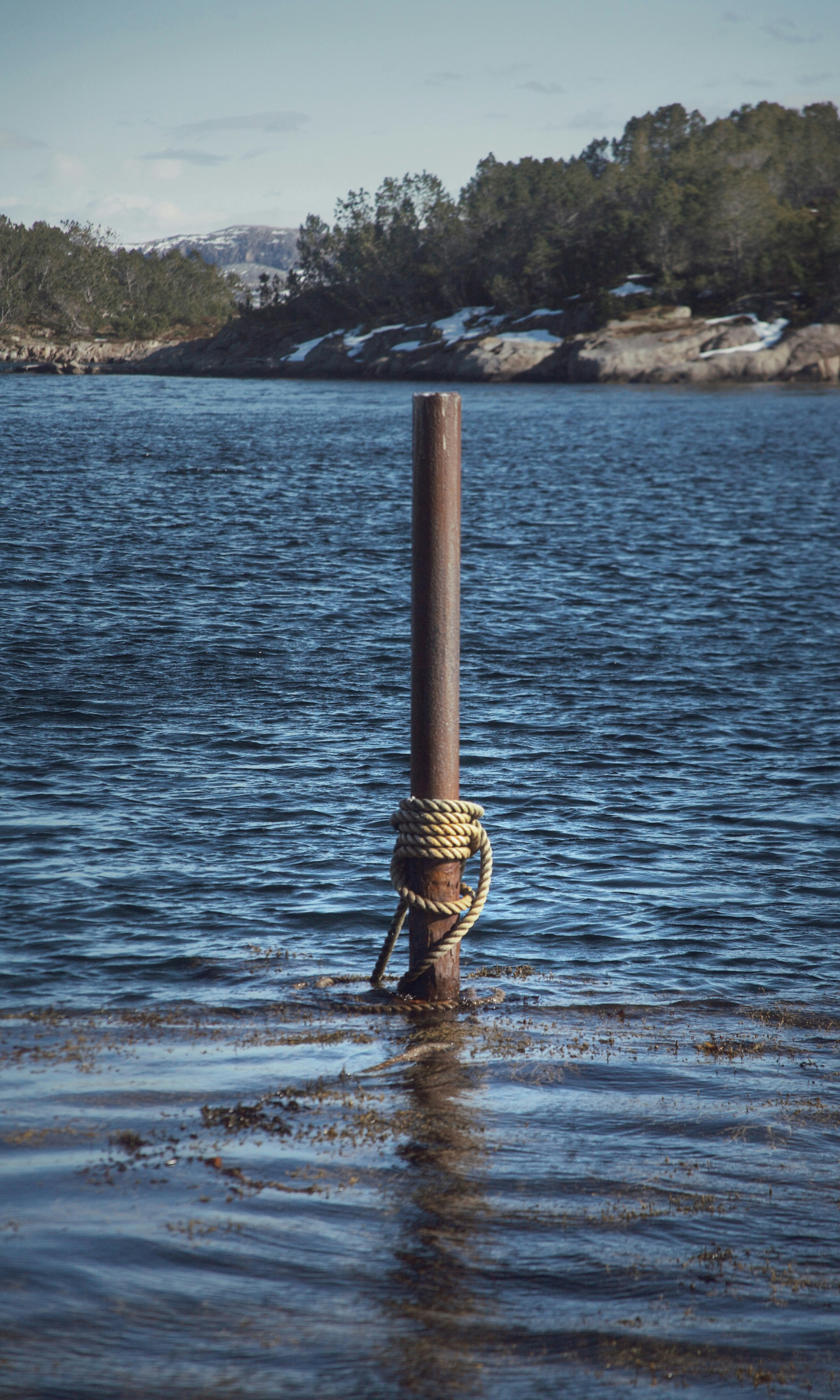 A rope tied to a post in the middle of a body of water photo – Free Sea ...