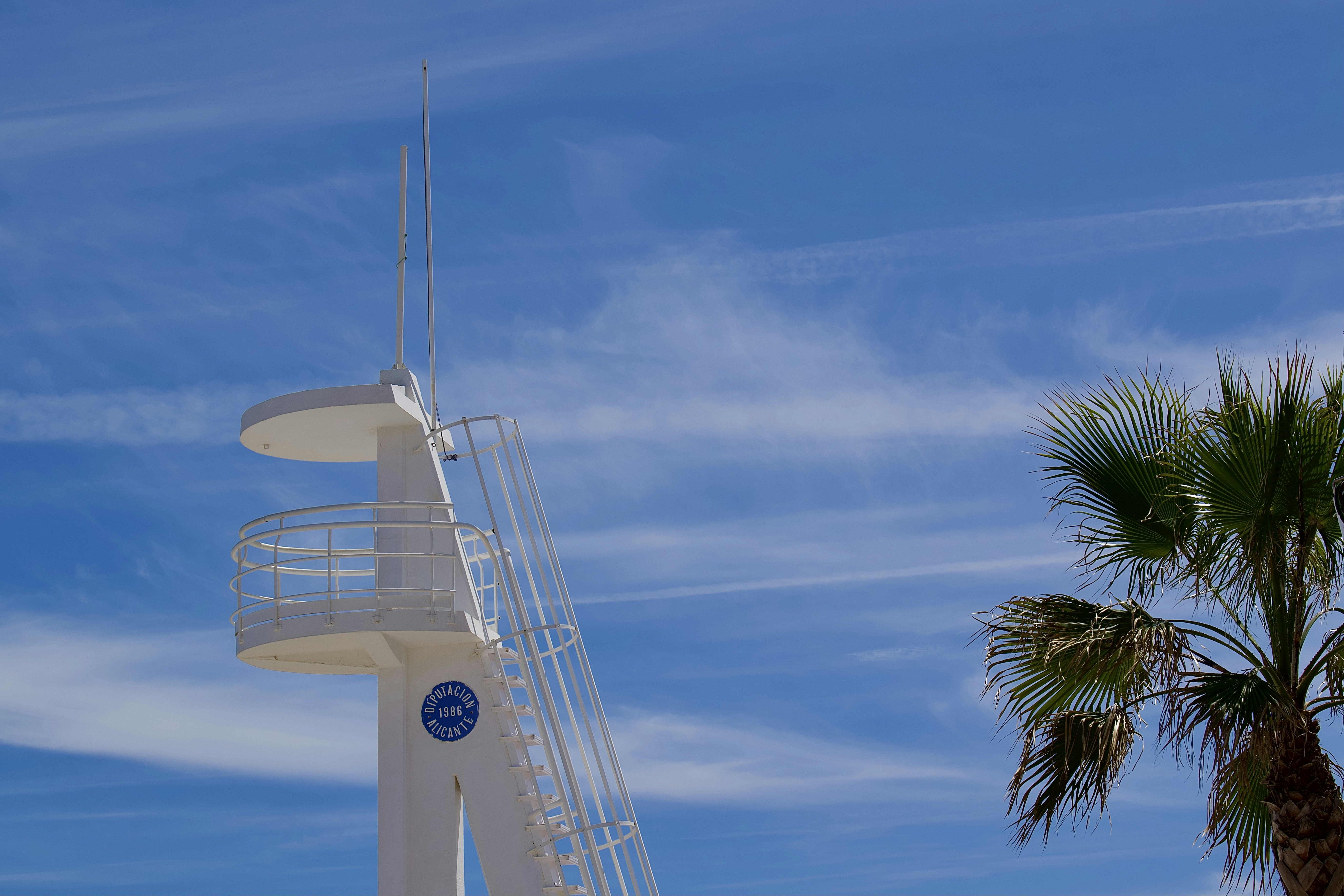 Coastal Sentinel: White Lifeguard Tower Against a Cerulean Sky with Palm Backdrop