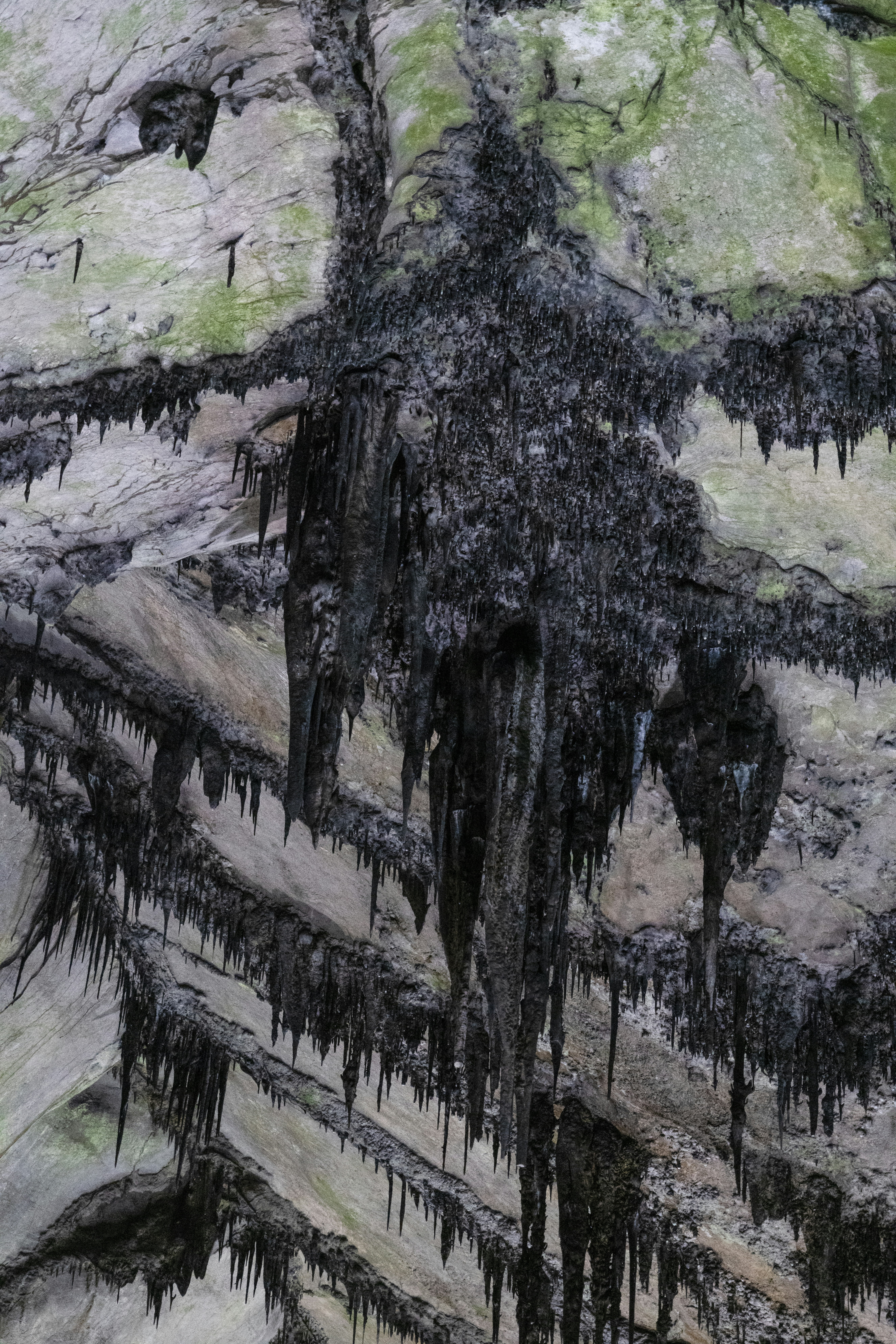 Veins of Darkness: Stalactites Draped Along a Mossy Cavern Wall