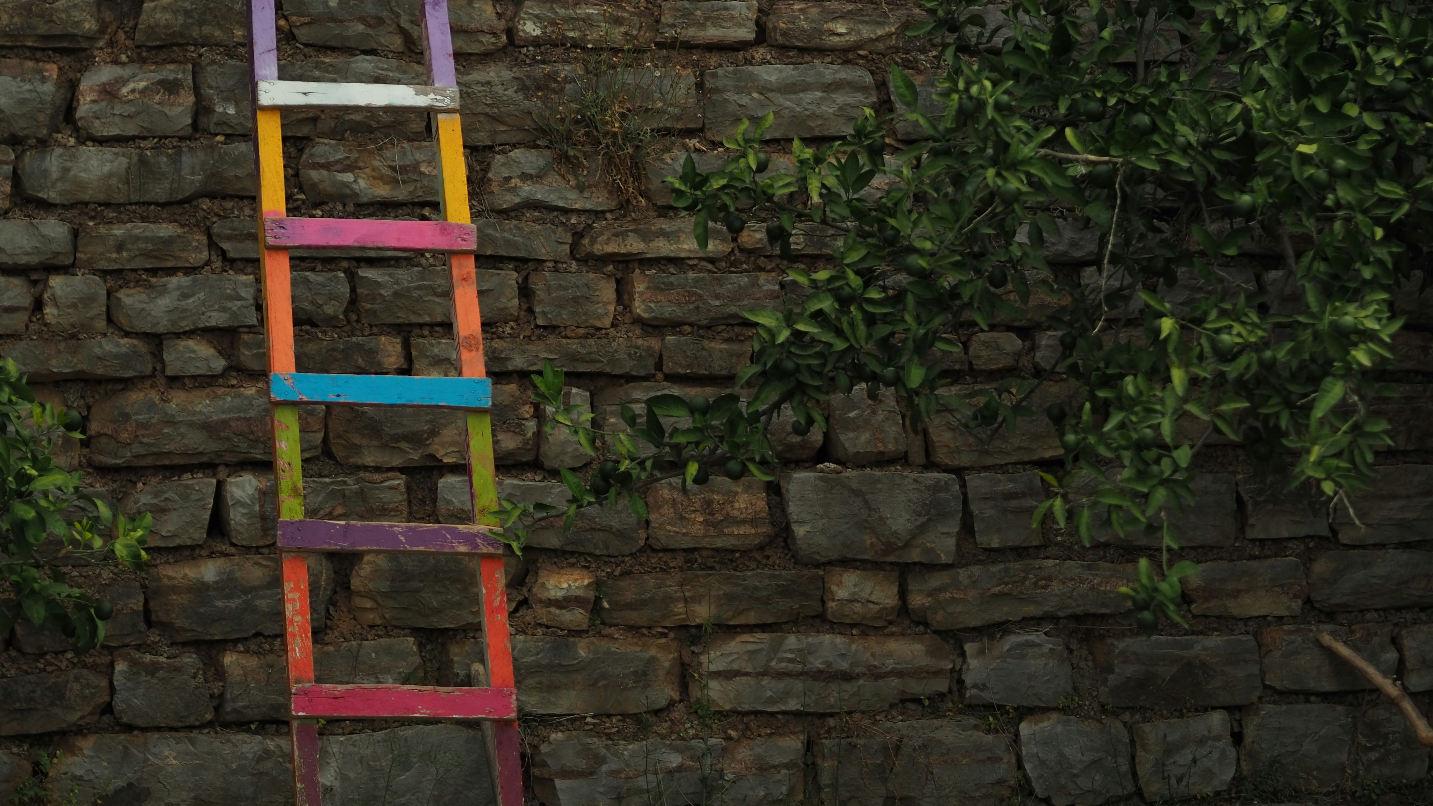 A colorful ladder leaning against a brick wall photo – Free Stone wall ...