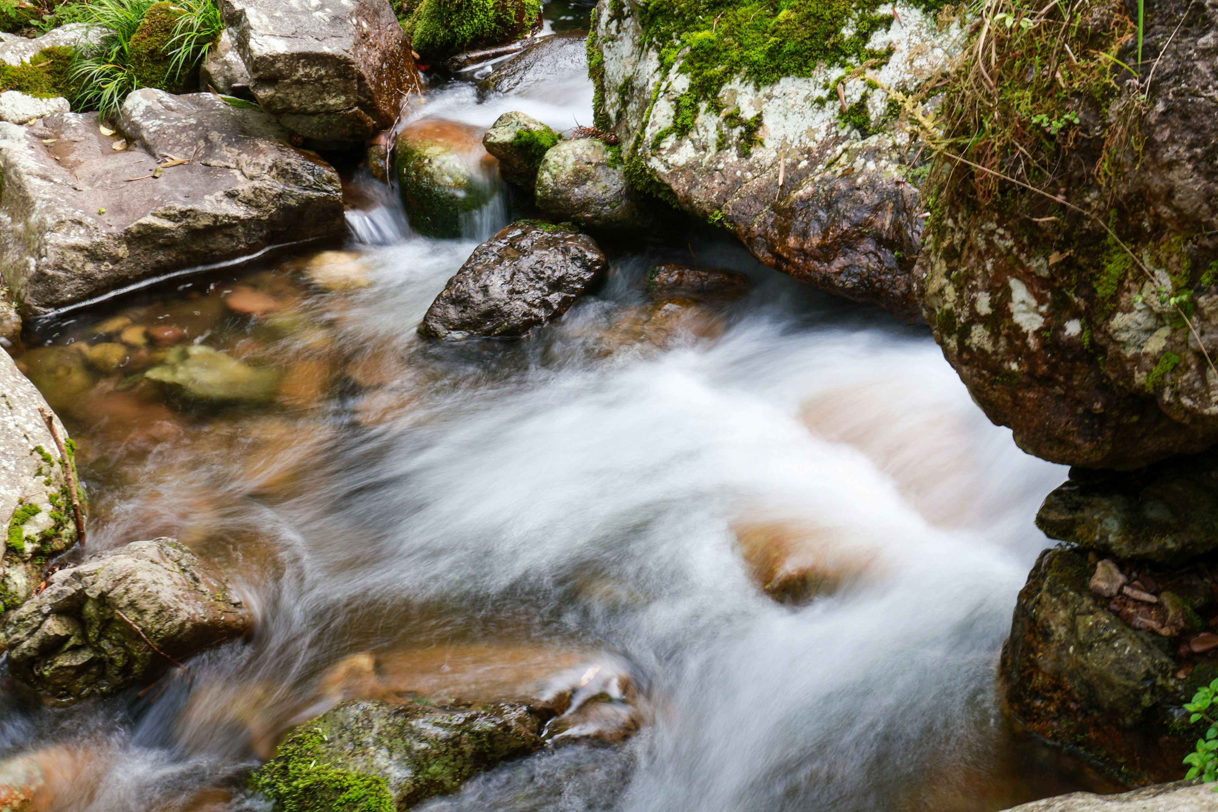 Gentle stream flowing over moss-covered rocks in a lush, green forest.