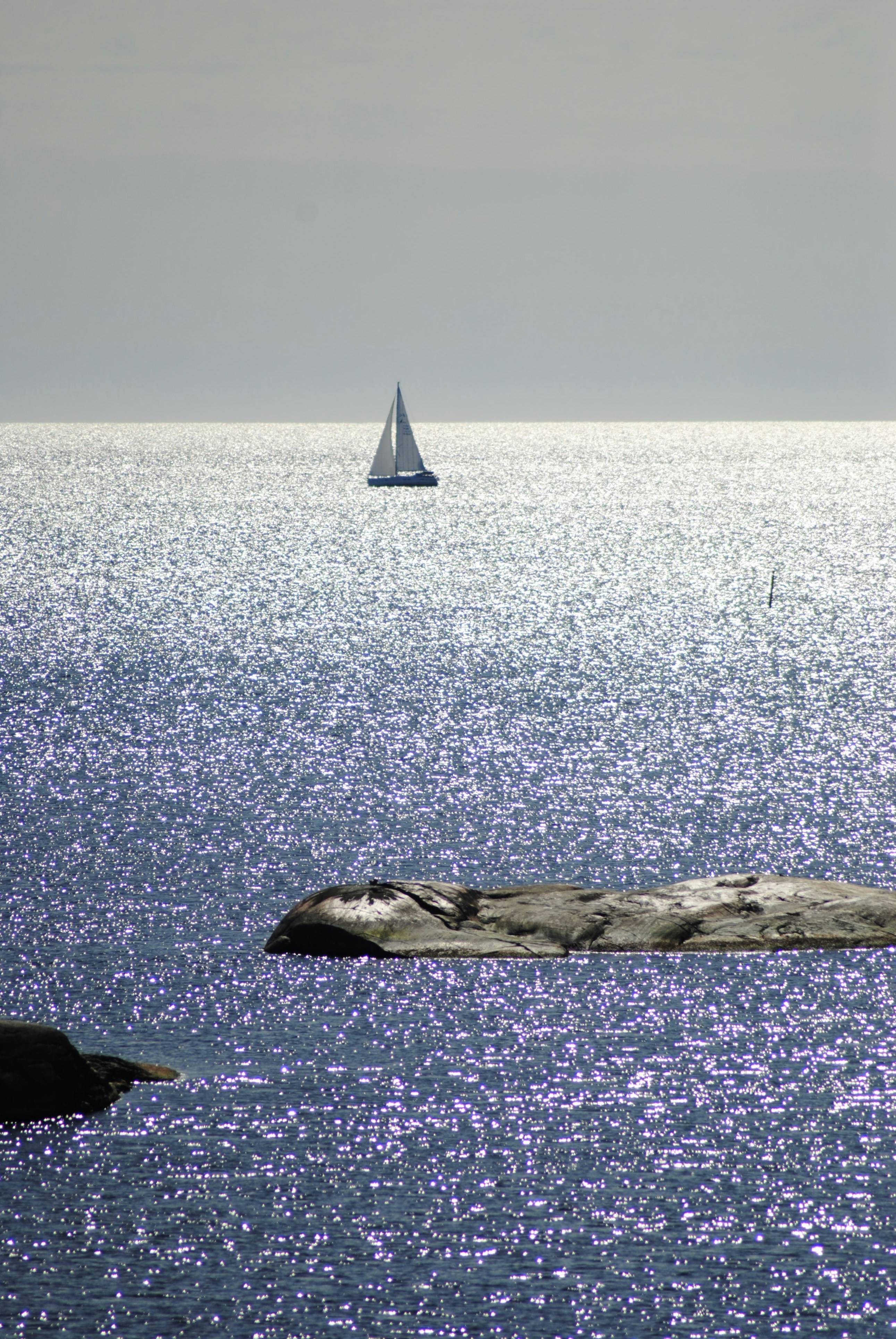 Lone Sailboat on a Glinting Sea
