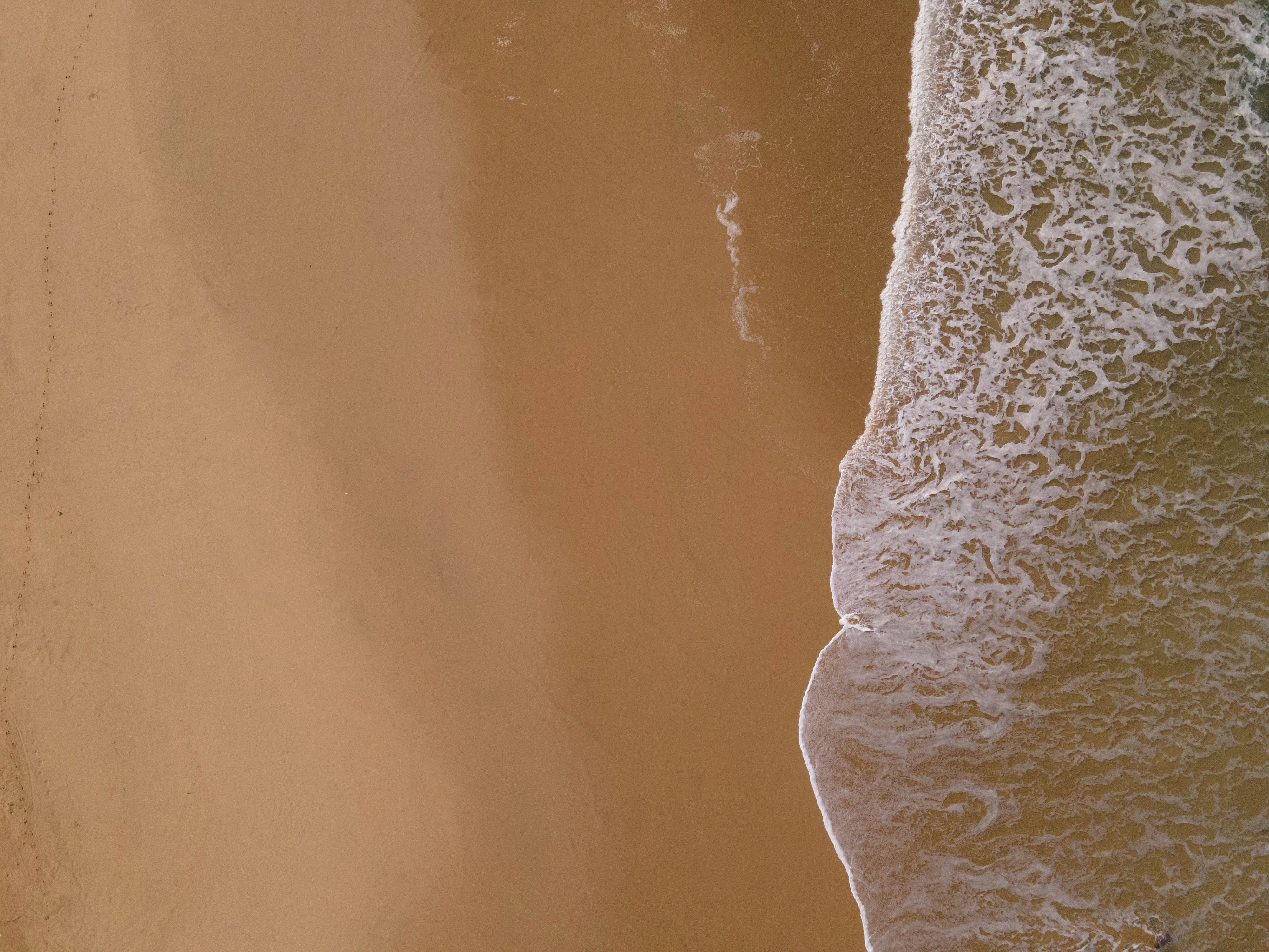 Chrysten Zenoni Nude Photos Pictures | Download Free Images on Unsplash