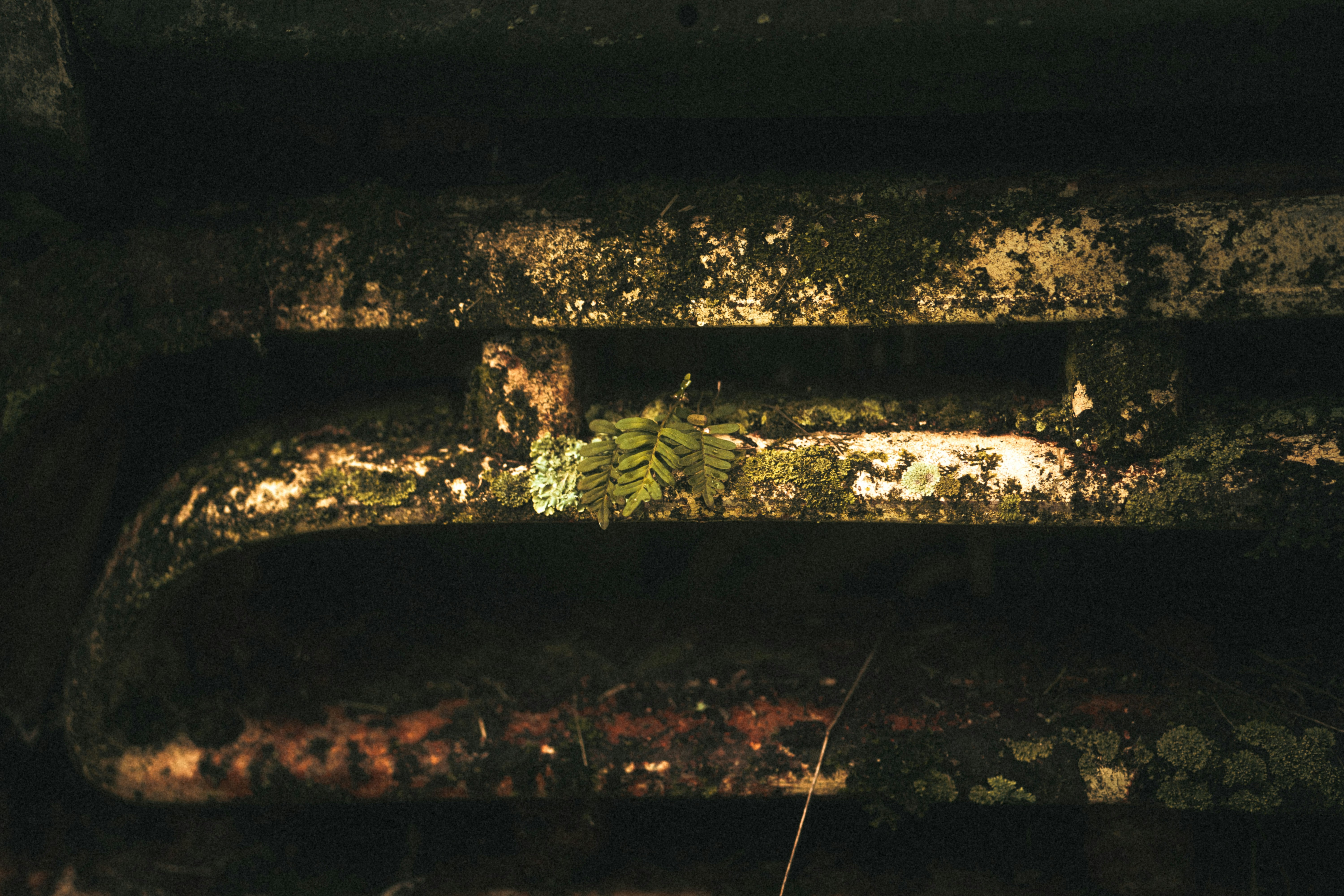 growth in hardship