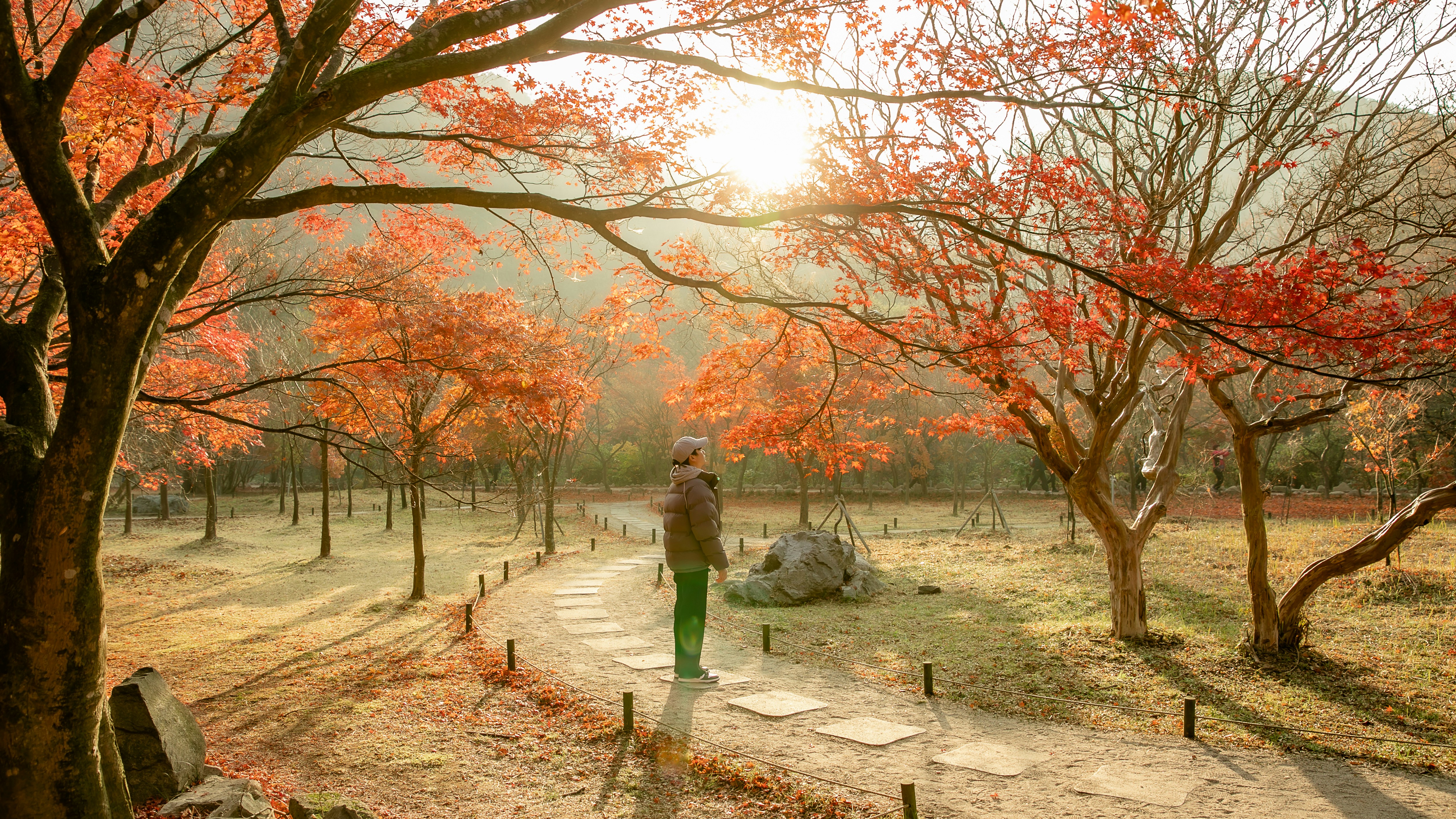 Foto Una persona parada en medio de un parque – Imagen Otoño gratis en ...