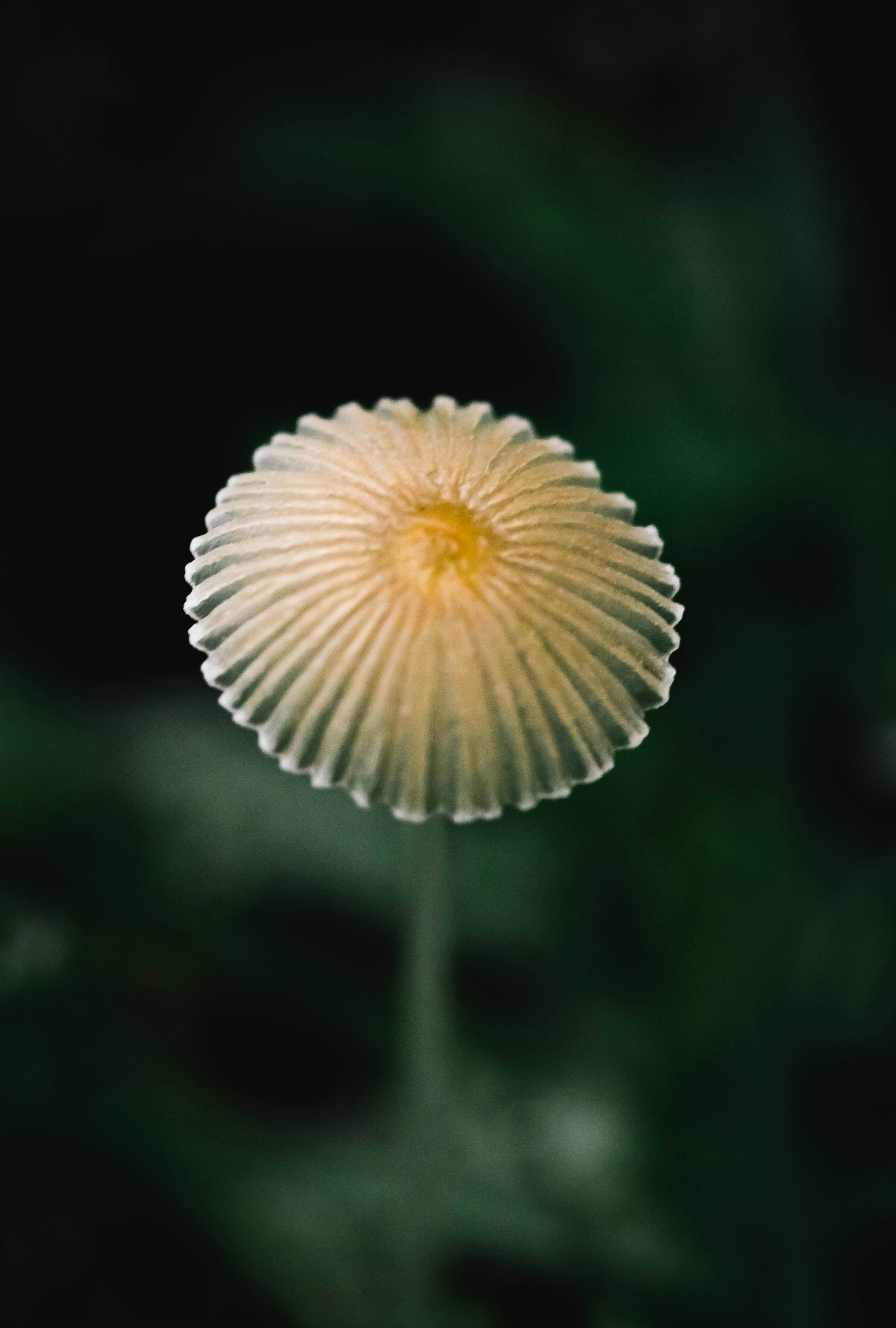 Photo by Minh Trí with Nikon D7100