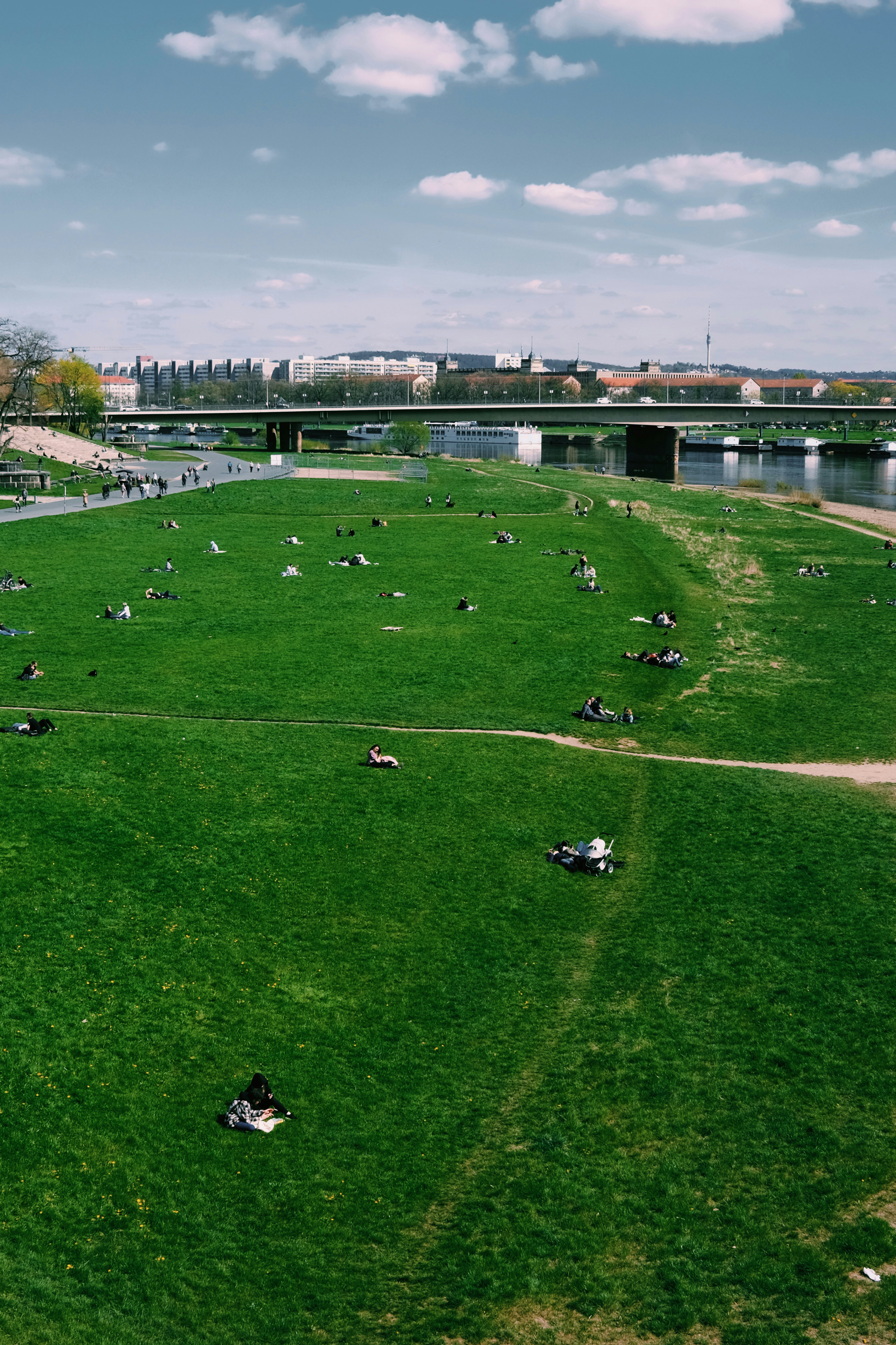 Vast green park filled with people relaxing on the grass under a clear sky. The river and city skyline provide a tranquil backdrop.